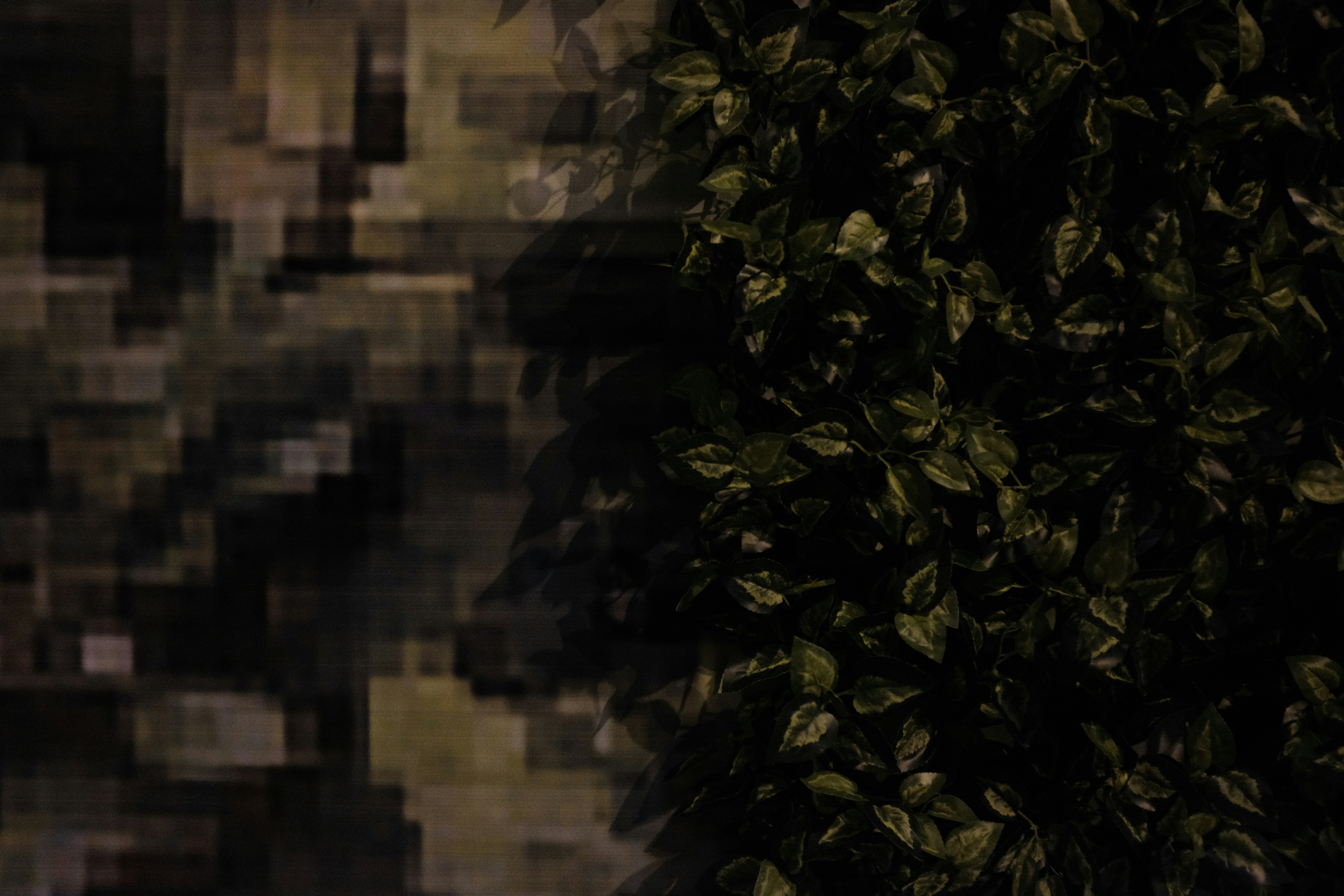 Shadowed Foliage on a Pixelated Wall