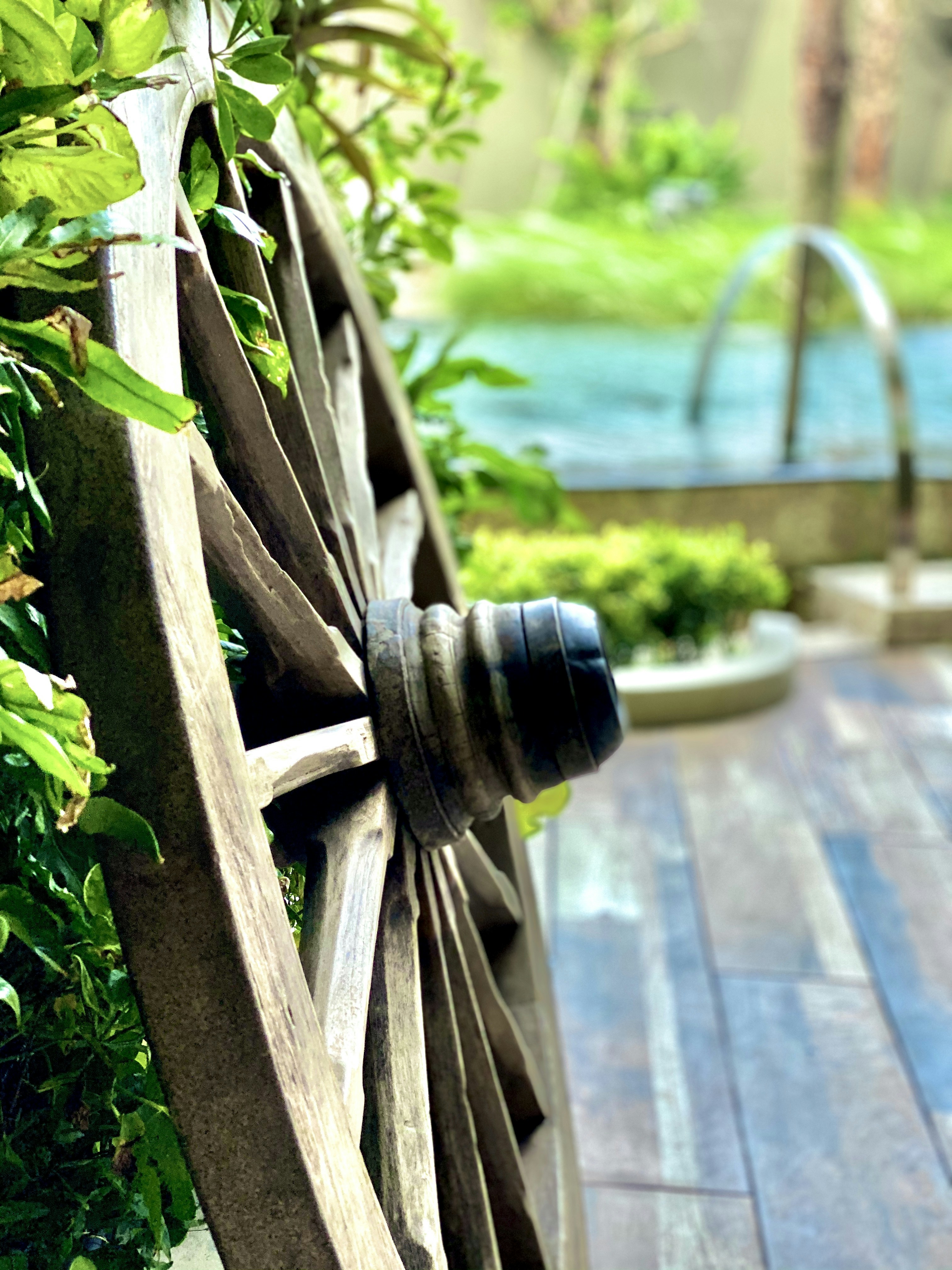 Weathered Wheel by the Pool: Greenery Framing a Quiet Garden Oasis