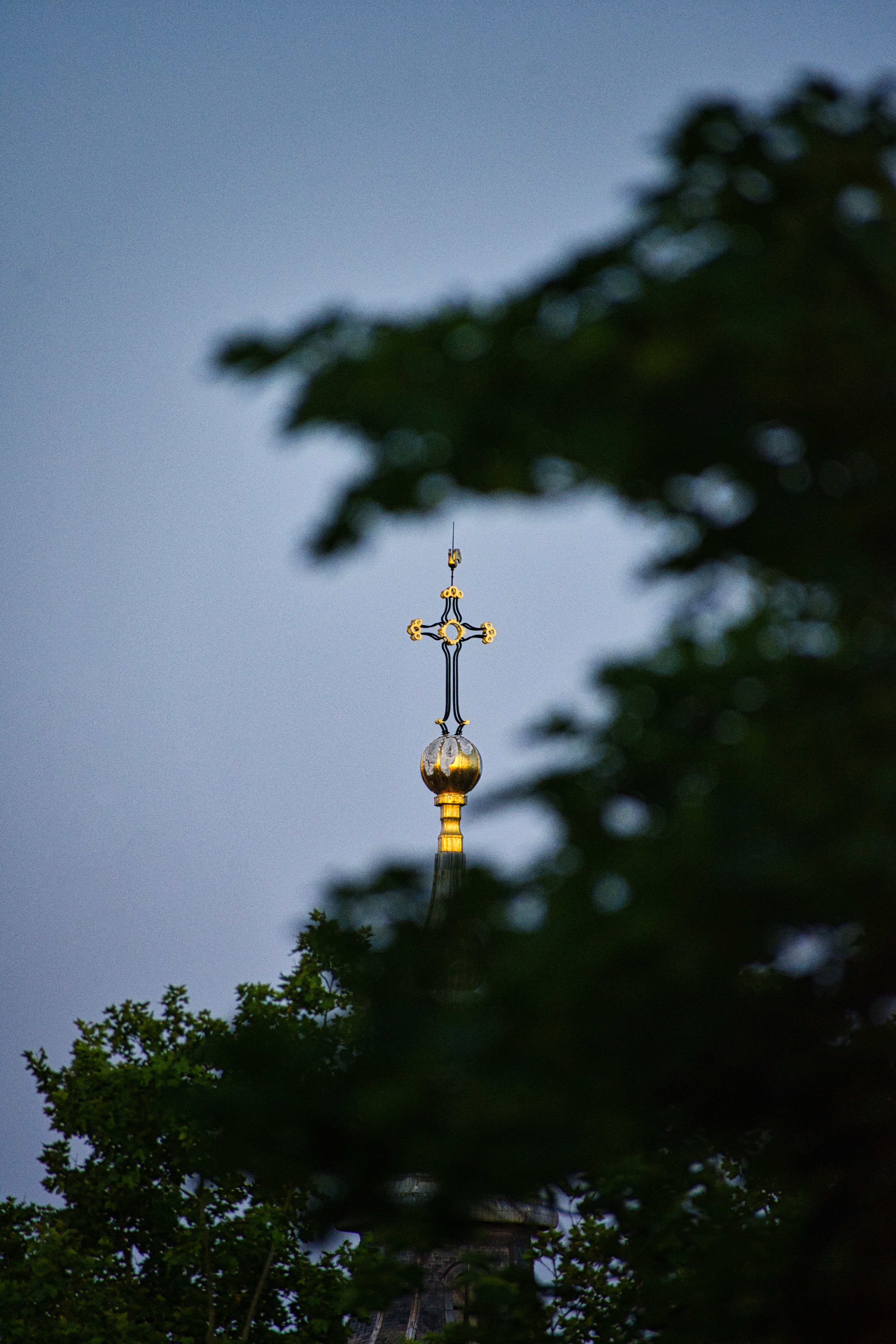 gold cross on tree branch