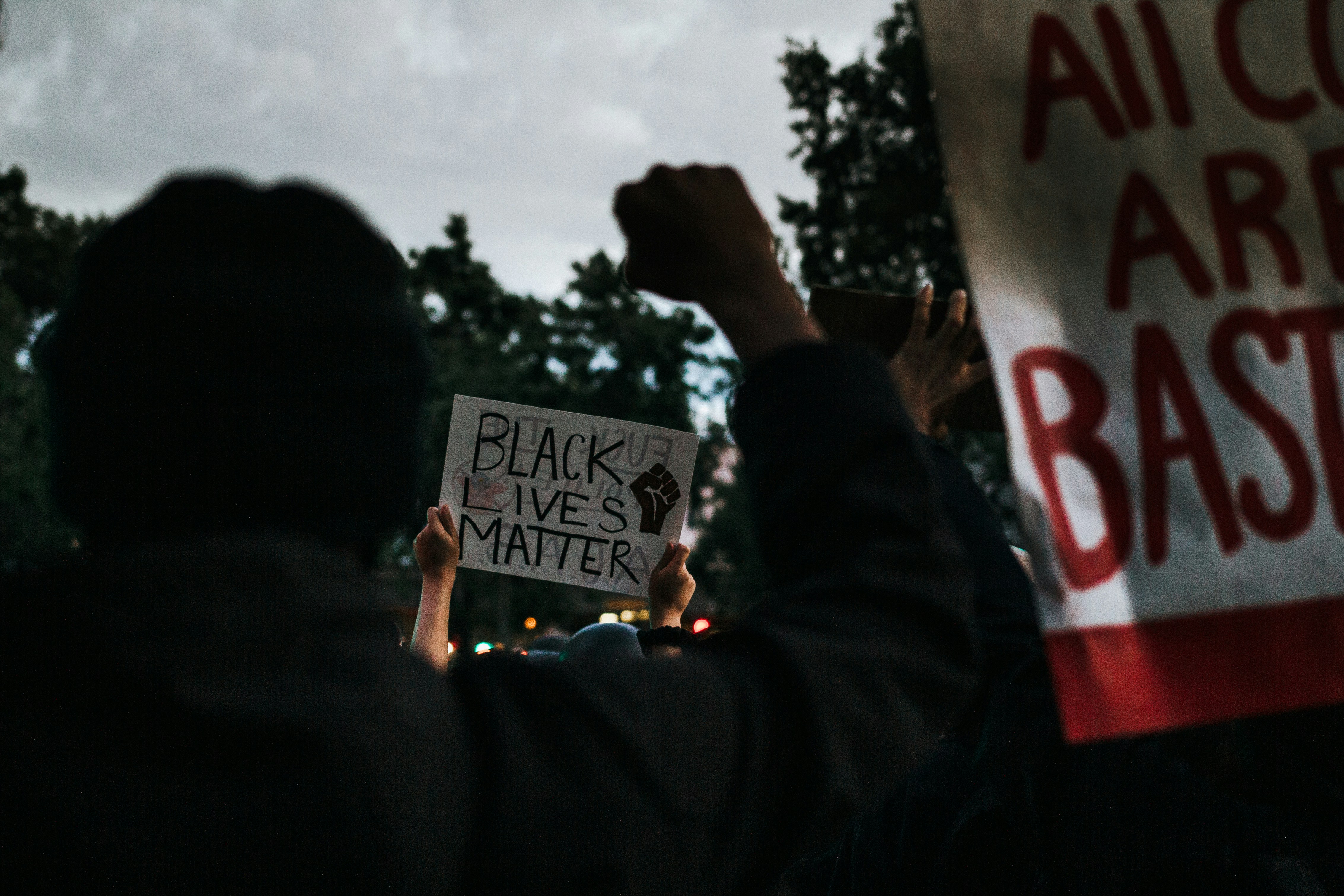 Person holding a 'Black Lives Matter' sign amidst a gathering under a cloudy sky.