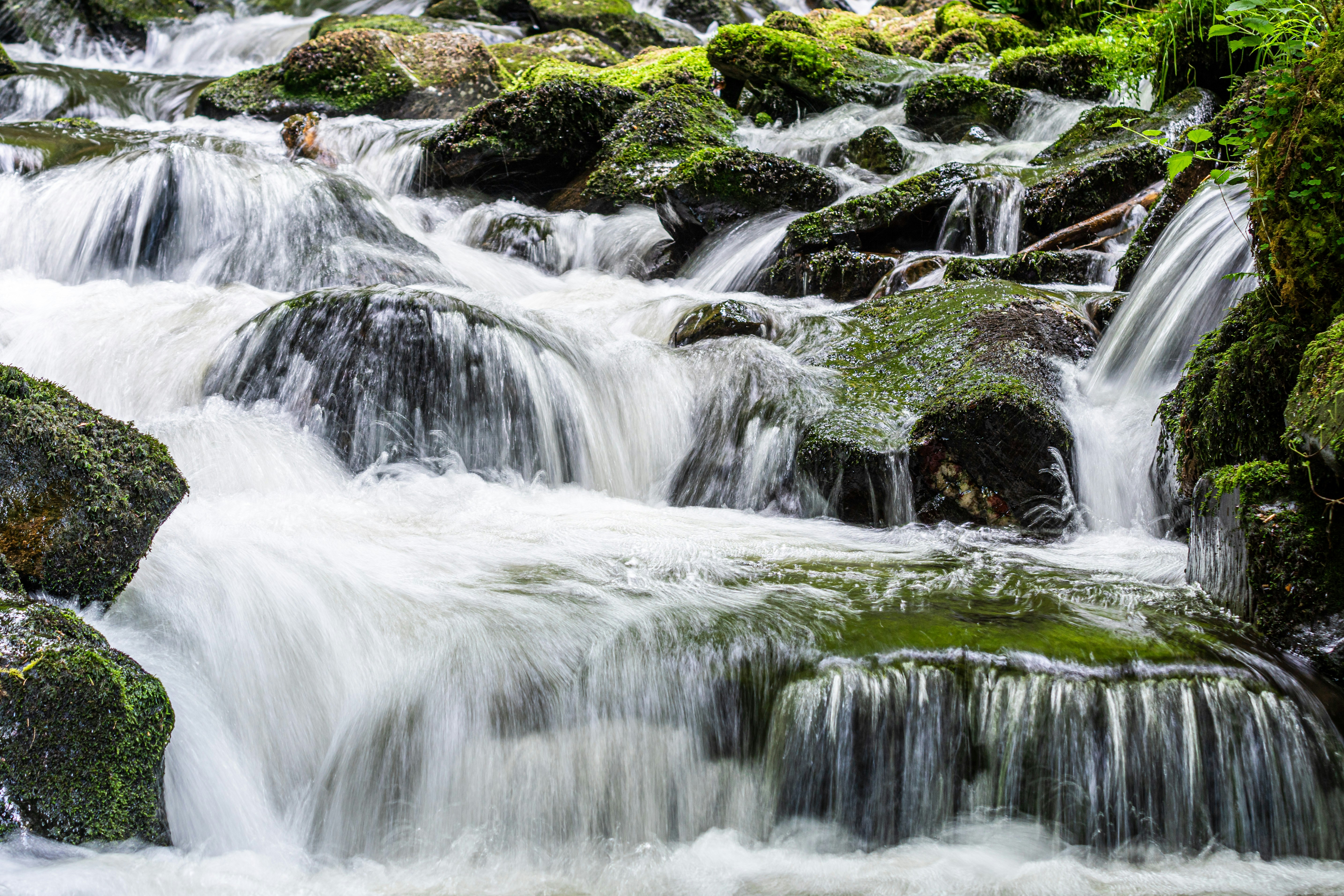 Gentle cascades of water flow over moss-covered rocks in a serene forest setting. The interplay of light and movement creates a tranquil scene.