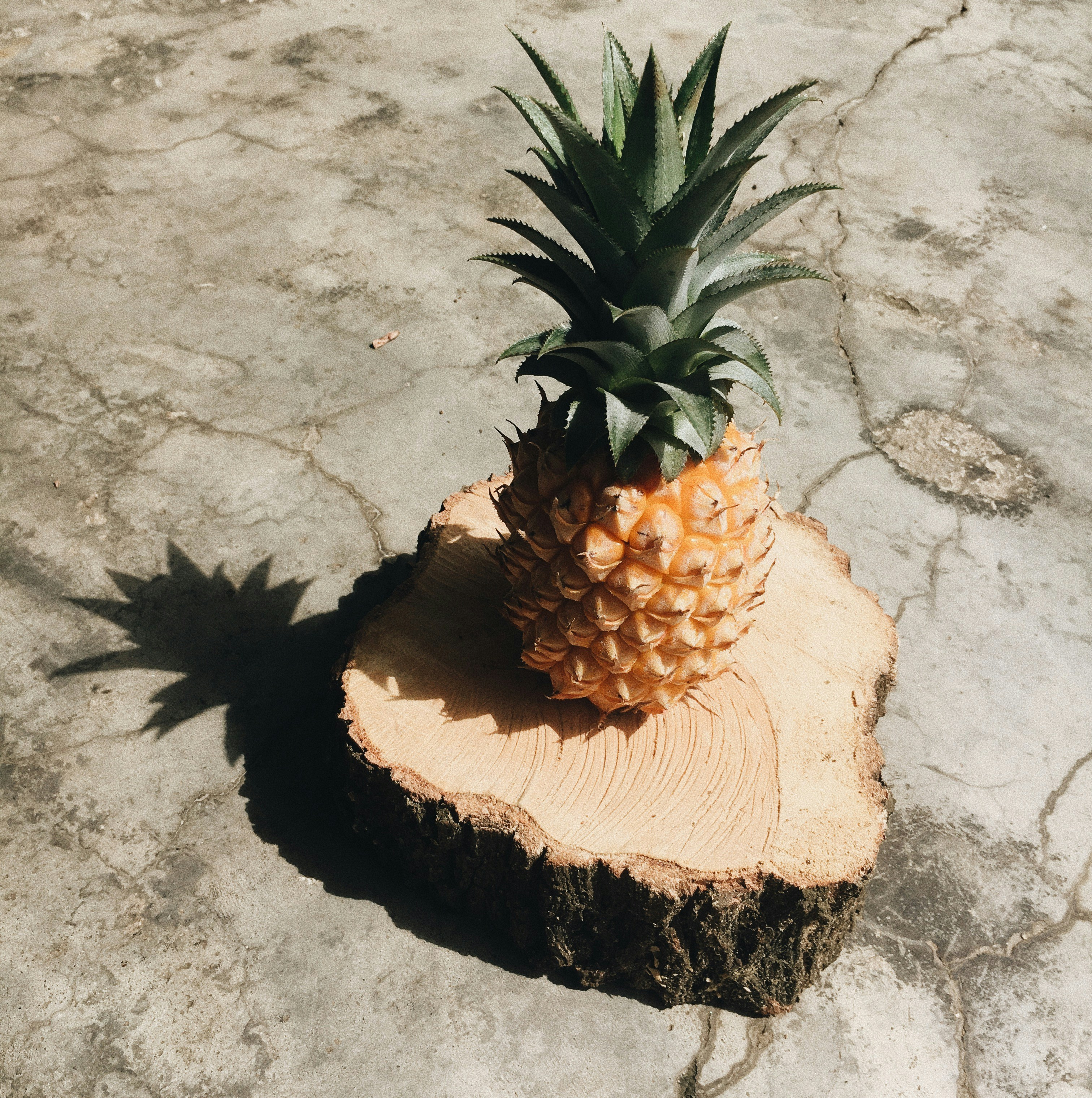 Pineapple perched on a wooden slice, showcasing a contrast between natural textures and vibrant colors.
