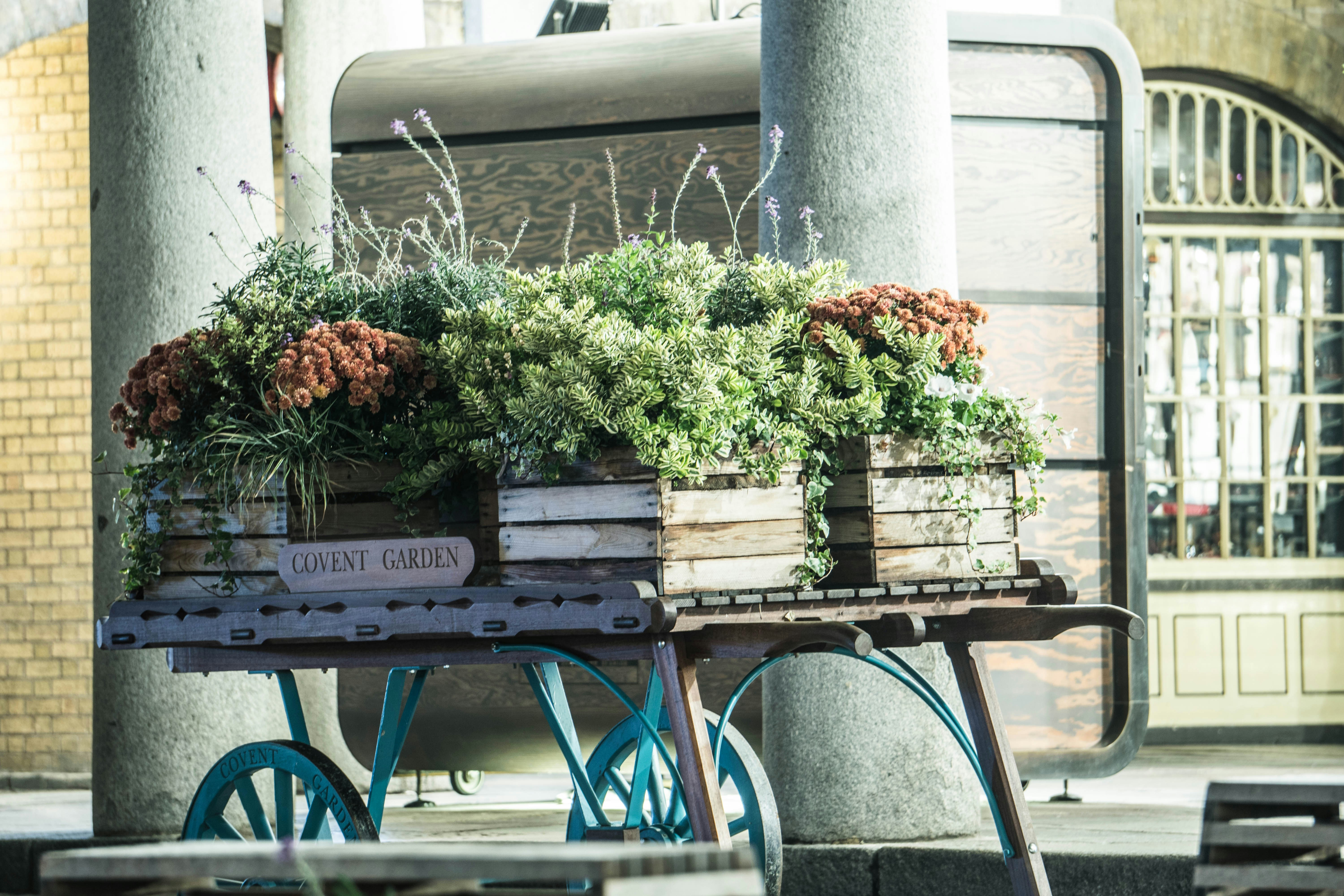 Urban Wheelbarrow: A Floral Cart Under City Columns