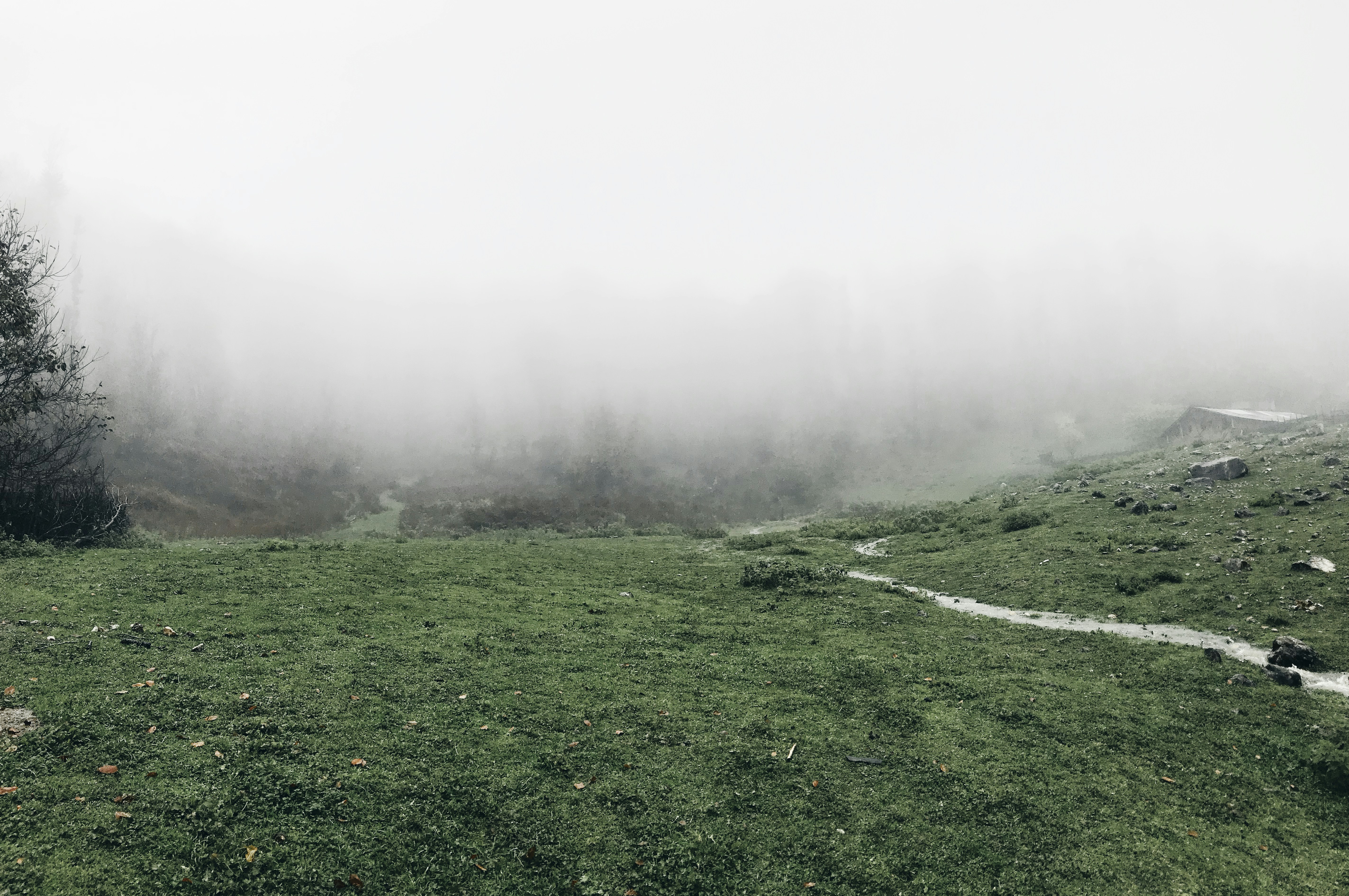 Green grass field with fog photo – Free Gilan province Image on Unsplash