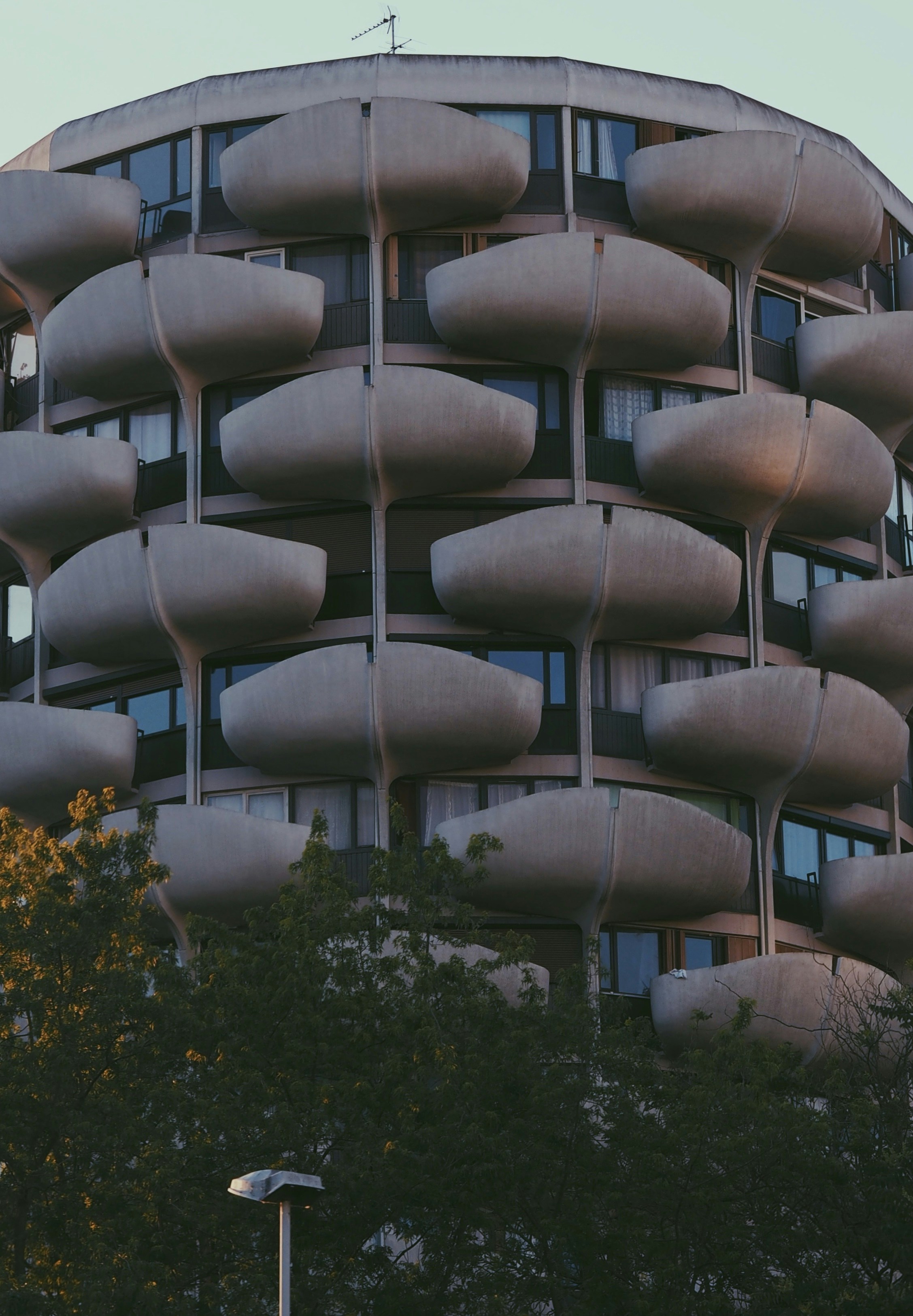 Curvilinear Harmony: A Modern Architectural Marvel
