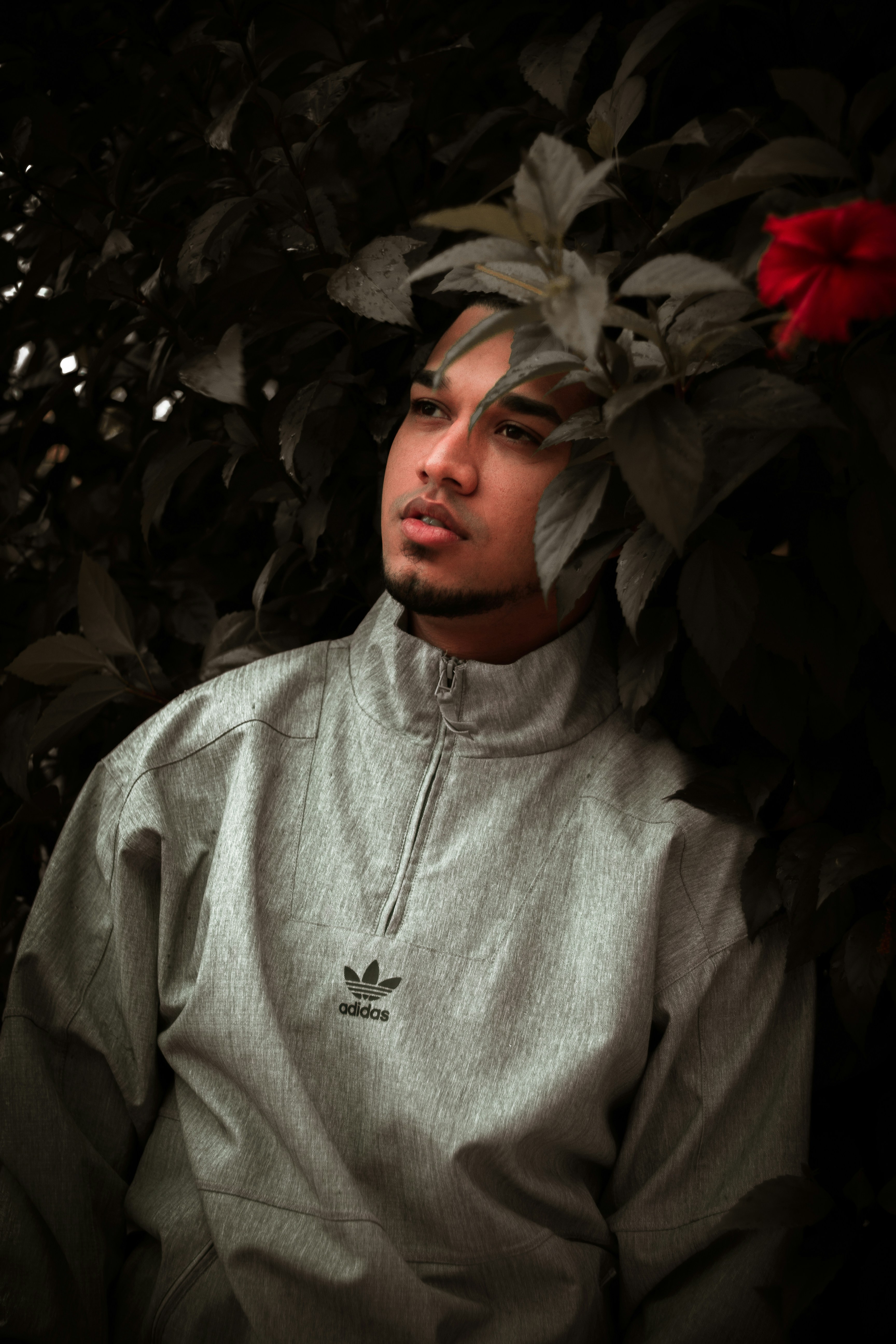 Portrait in Shadowed Foliage: a Quiet Moment by a Red Bloom