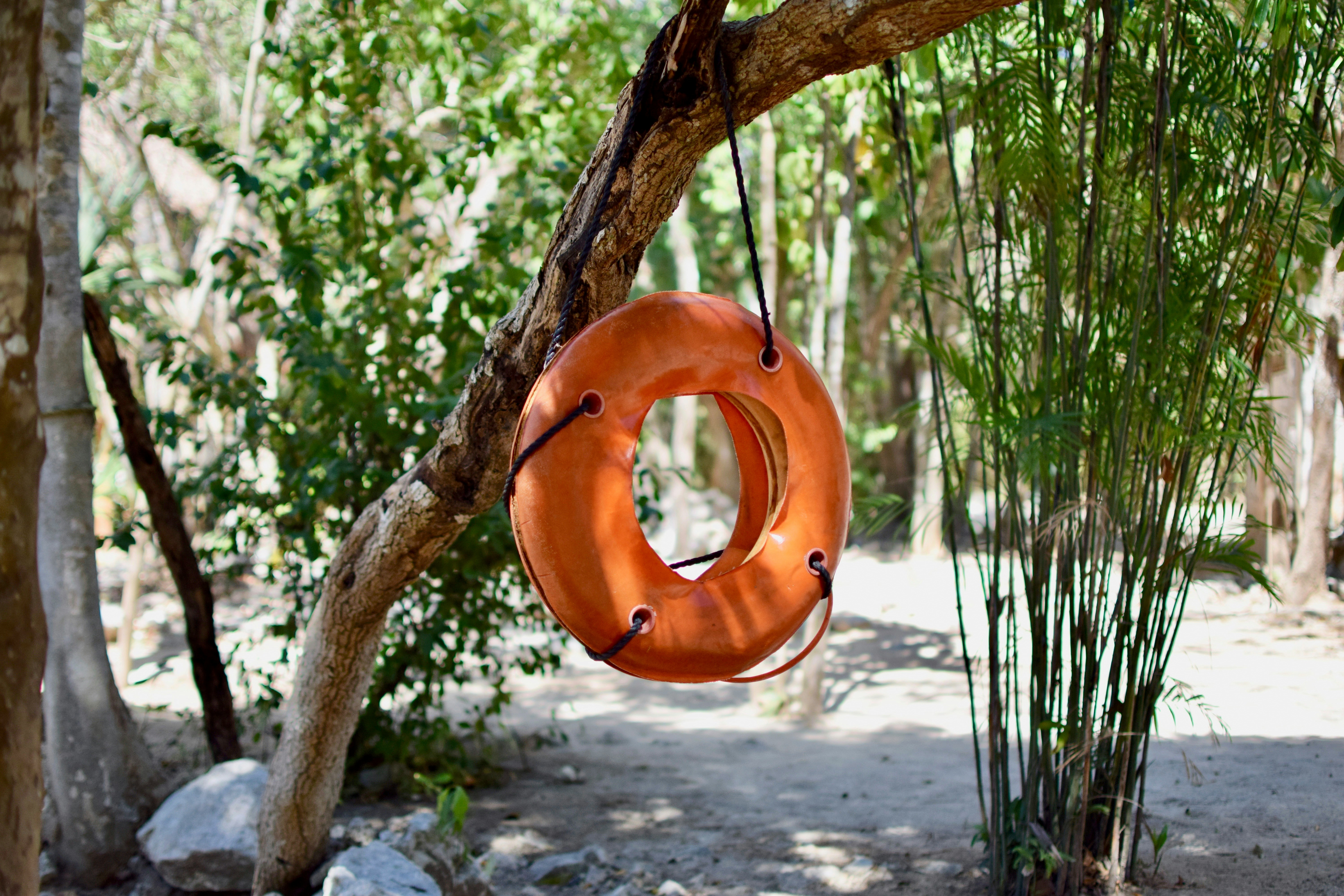 Orange lifebuoy against sunlit grove