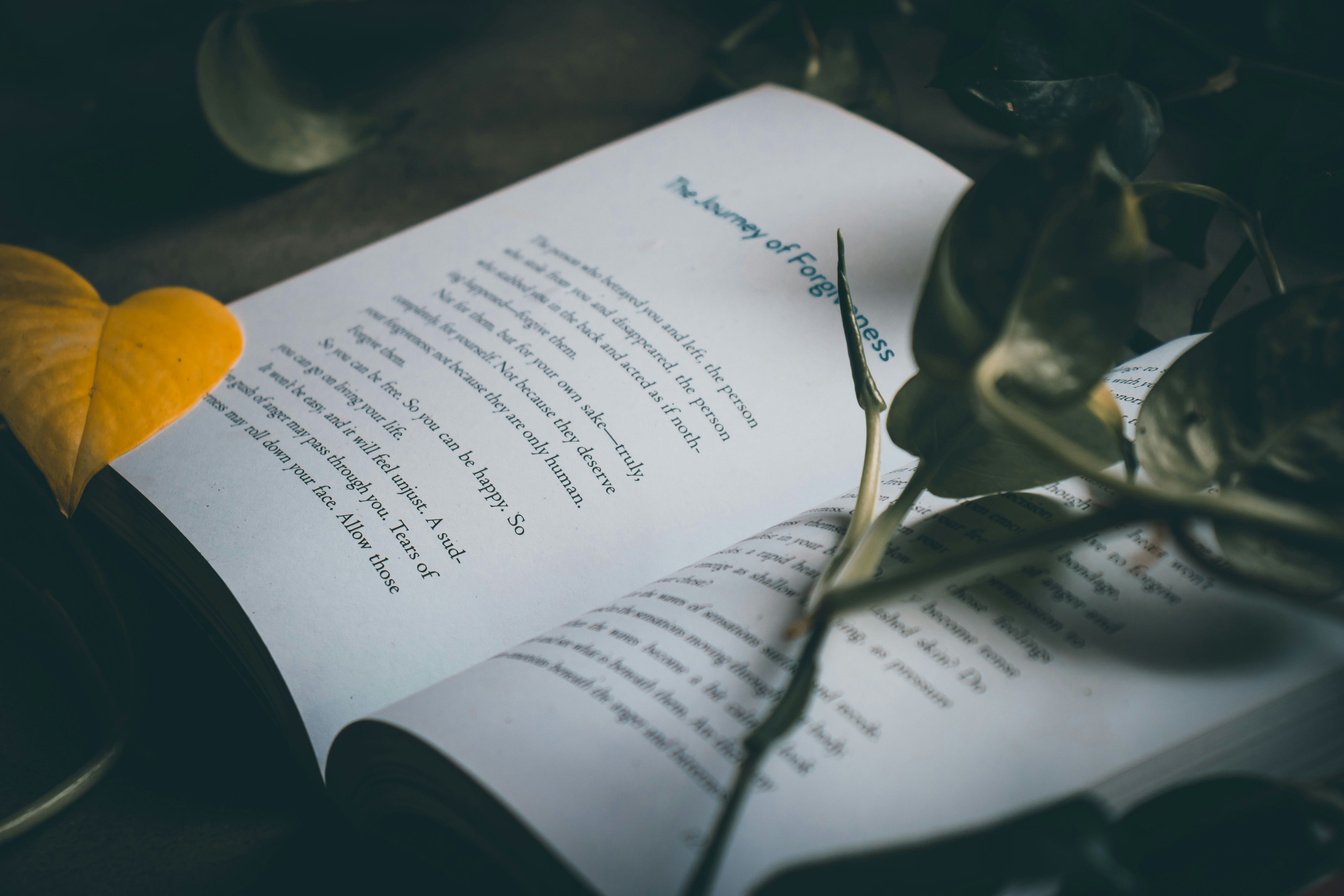 An open book rests on a textured surface, surrounded by leaves, inviting readers into its pages filled with text.