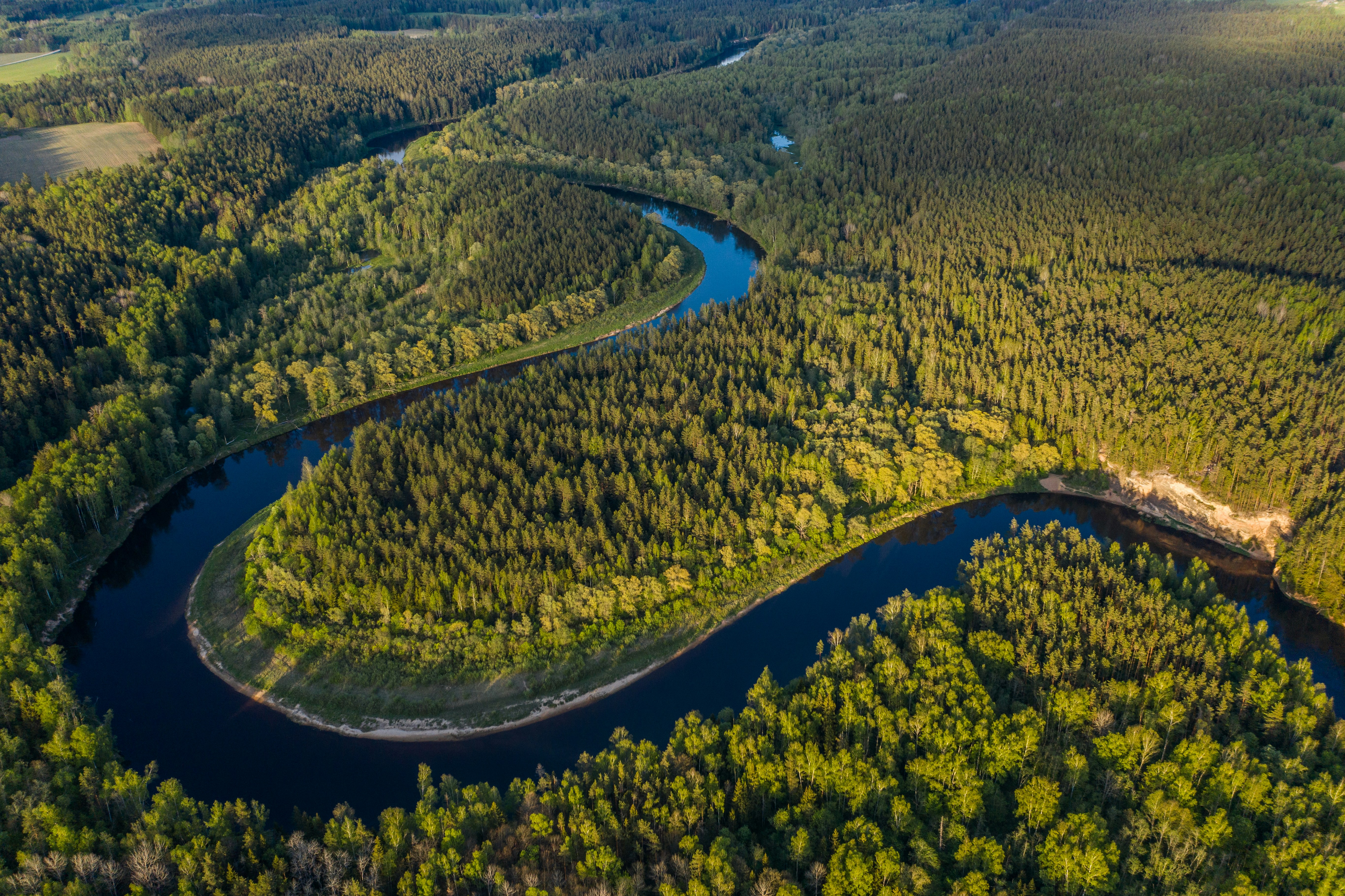 Aerial view of green trees and river photo – Free Green Image on Unsplash