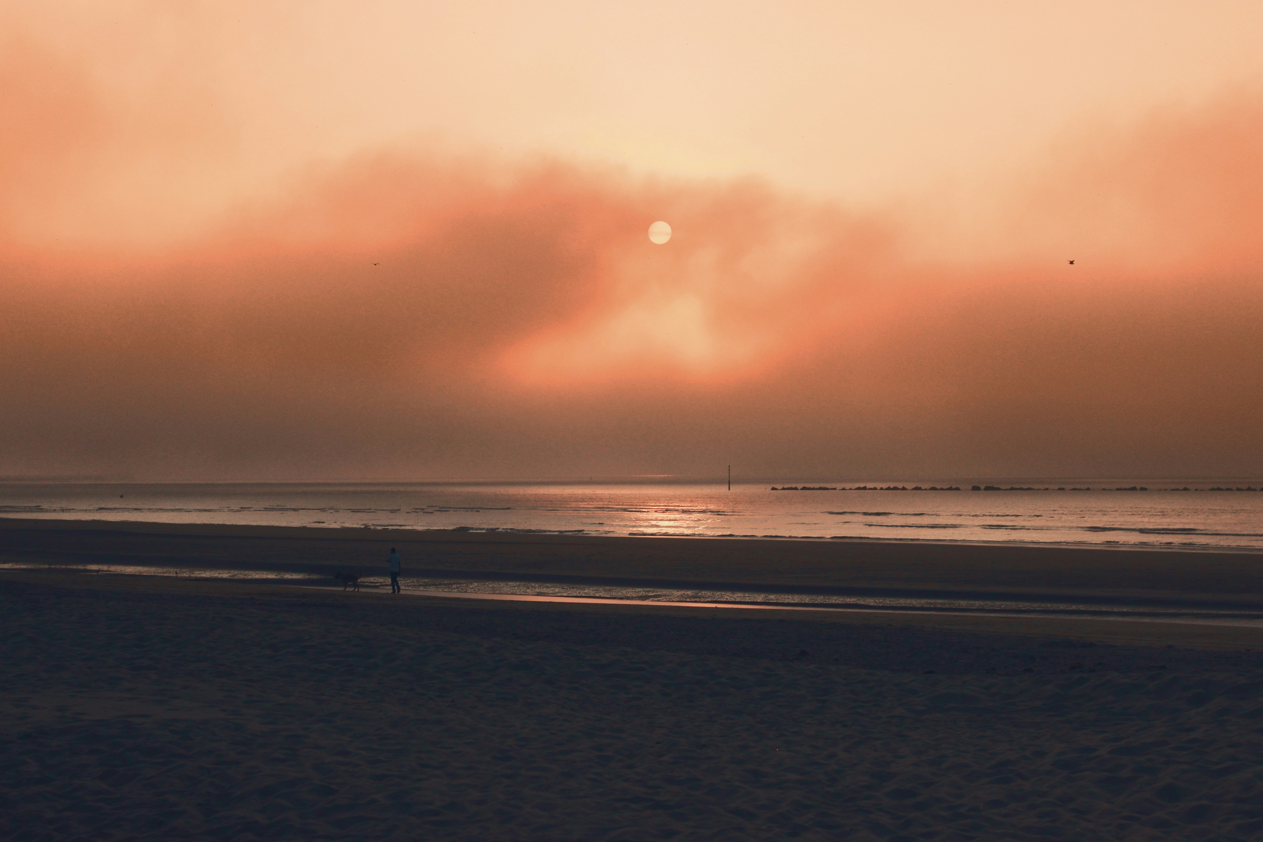 Softly glowing sun setting over a tranquil beach, enveloped in gentle fog. The horizon blurs where sea meets sky.