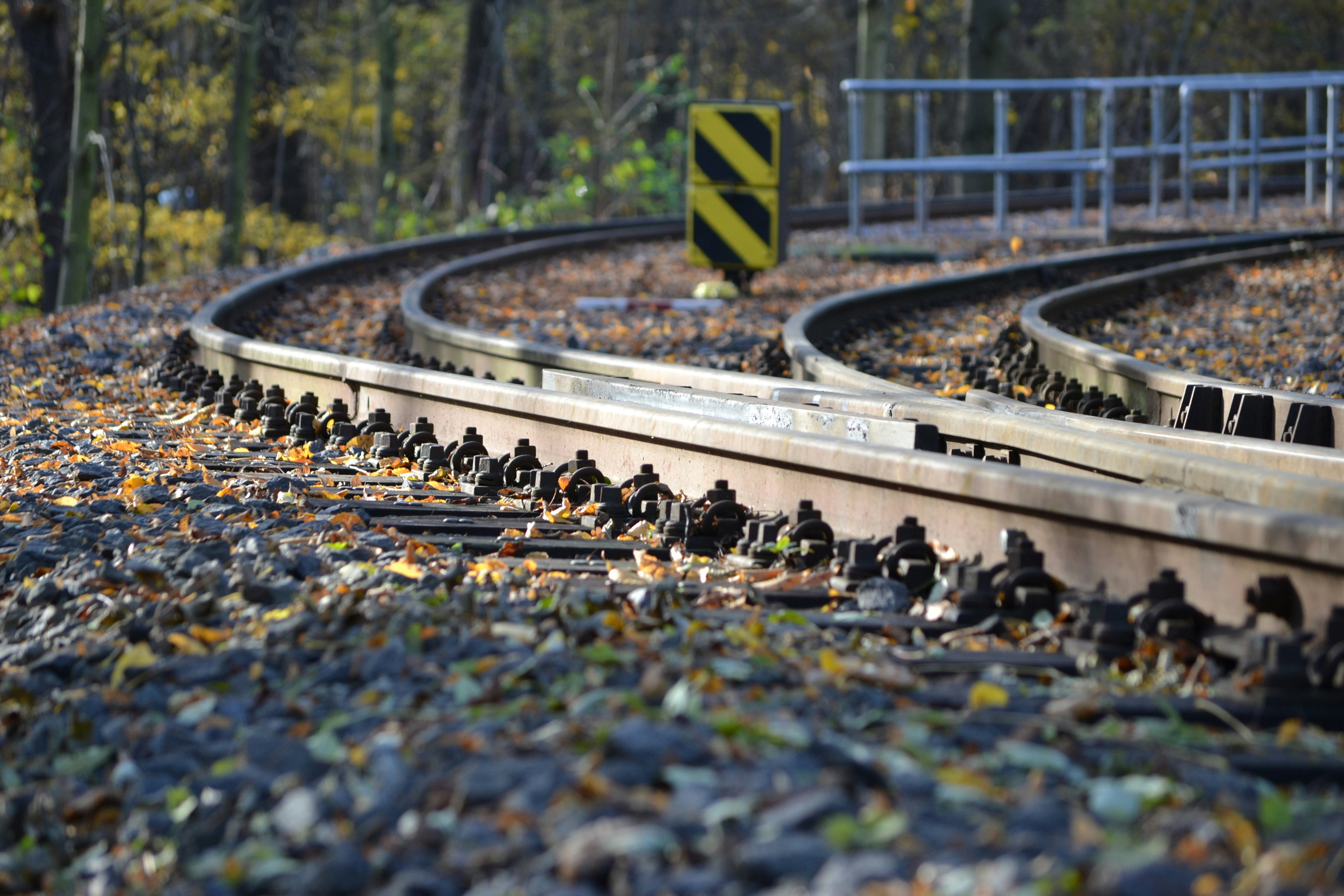 Low-Angle Curve: Autumn Rails Winding Through Leaf-Litter