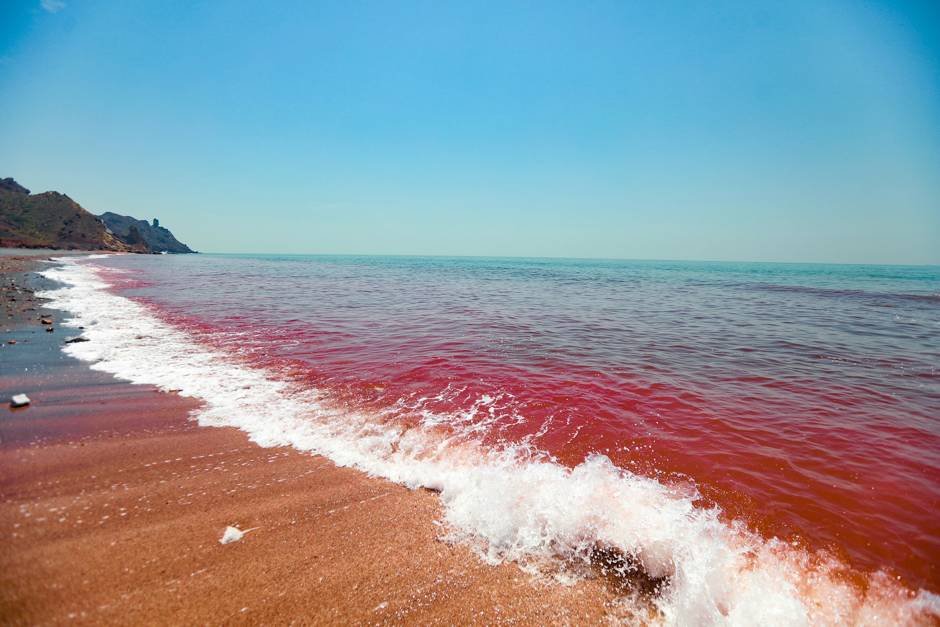 Crimson Tide on a Quiet Blue Shore