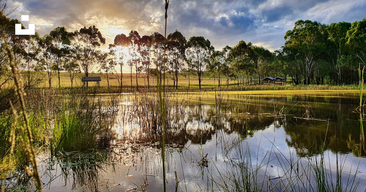 Green Grass Field Near Body Of Water During Sunset Photo Free Land