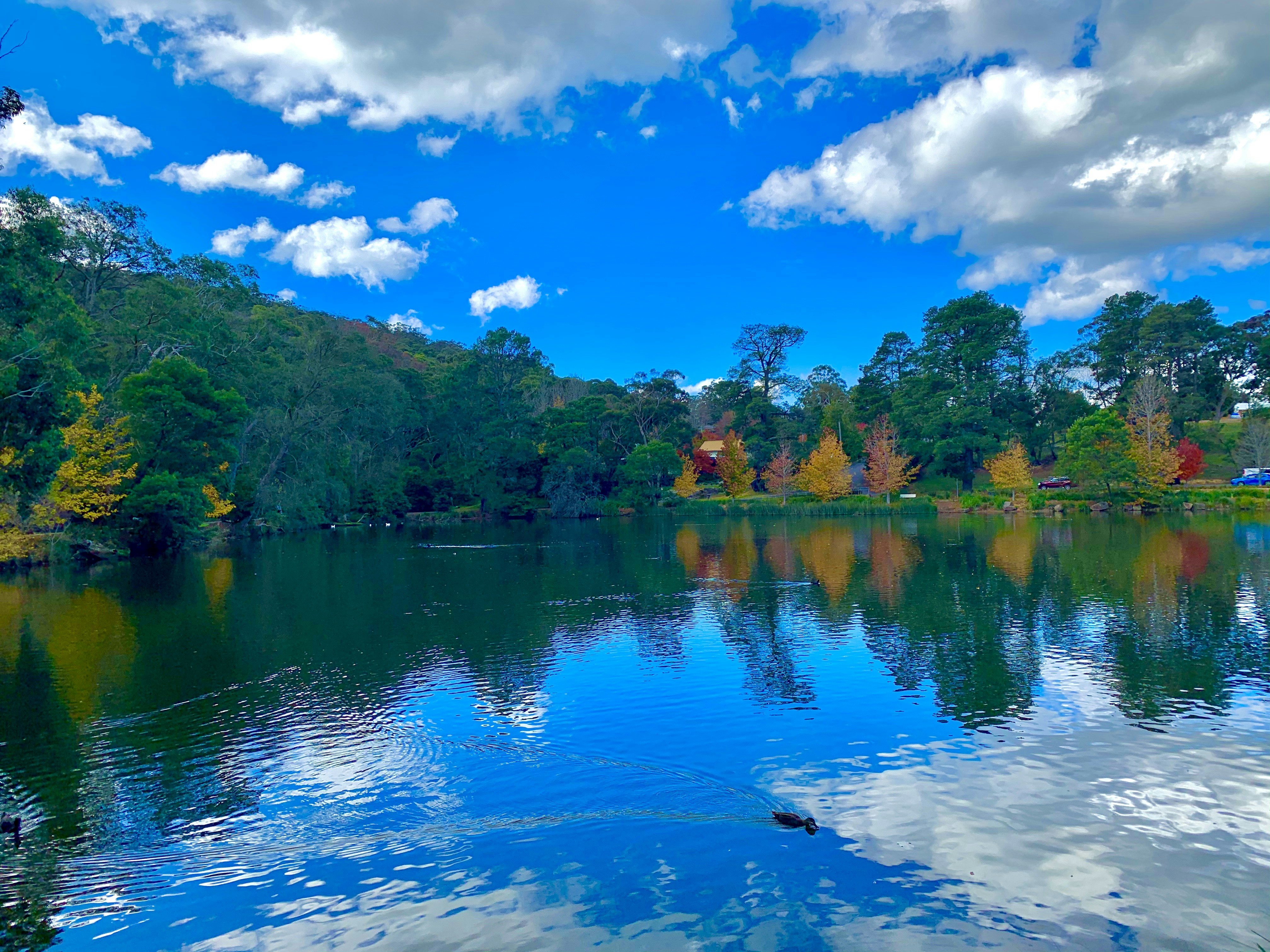 Andrew Siddall (@andous) | Unsplash Photo Community