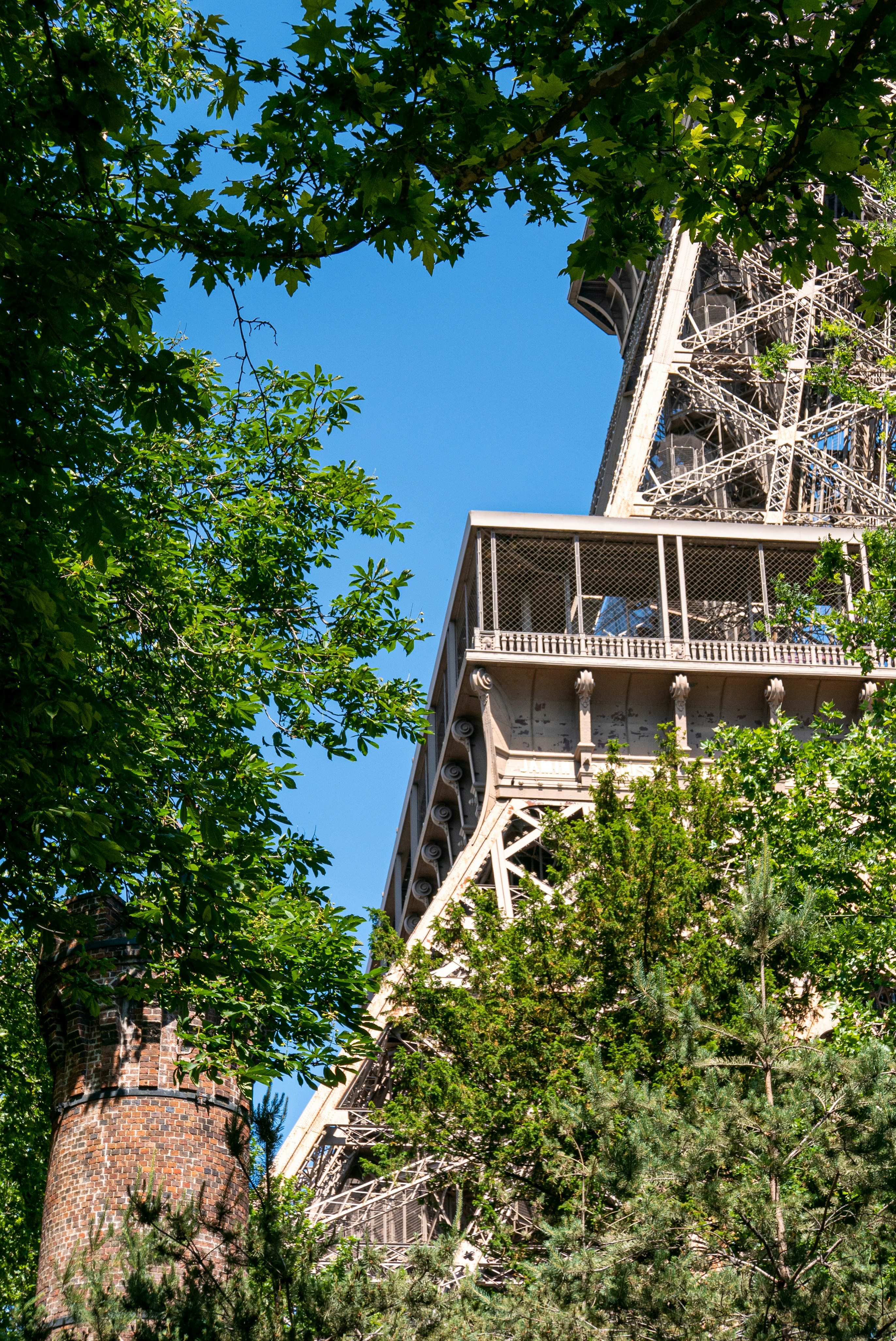 White wooden bridge over green trees during daytime photo – Free Tour ...