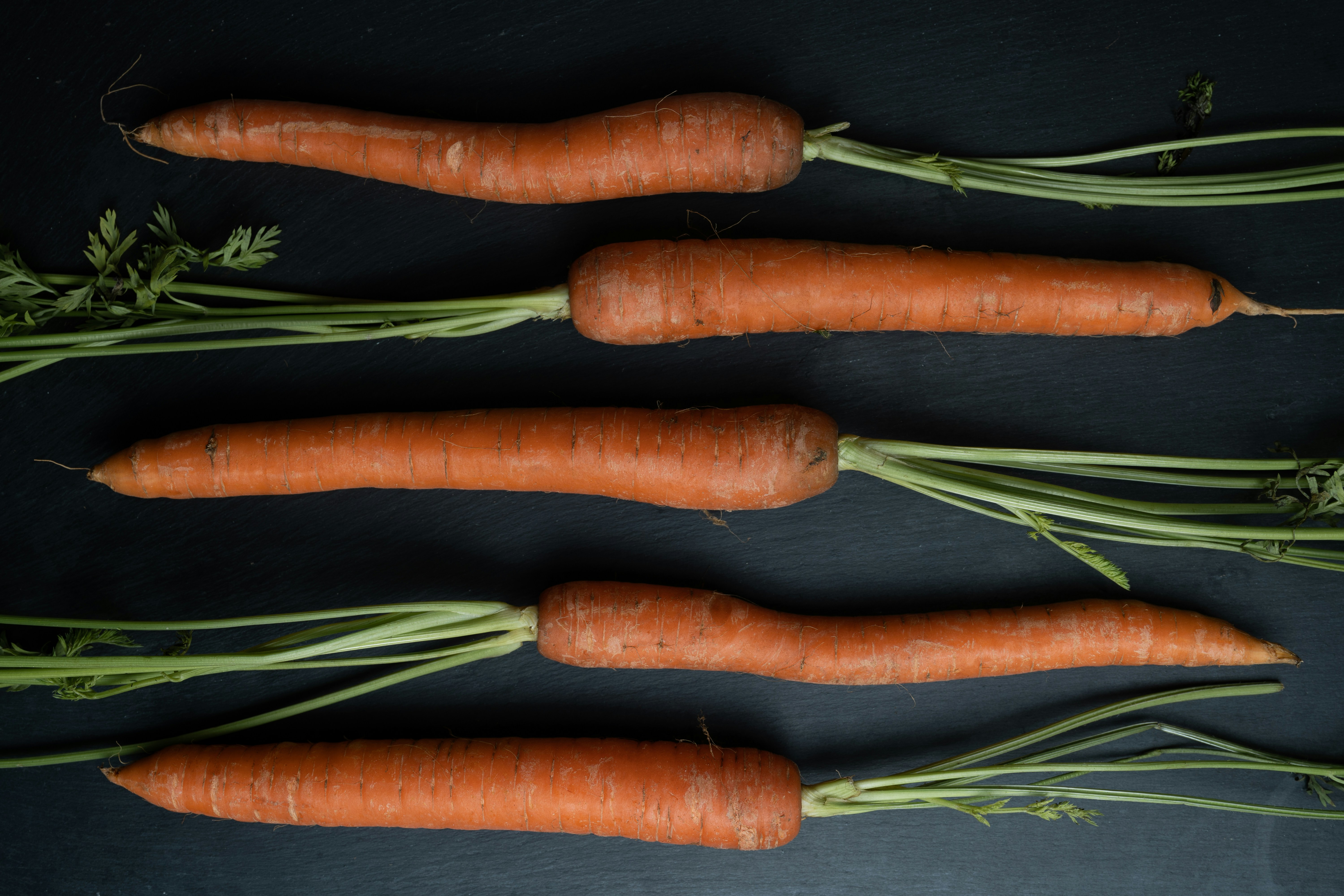 Five Carrots in a Row on a Midnight slate