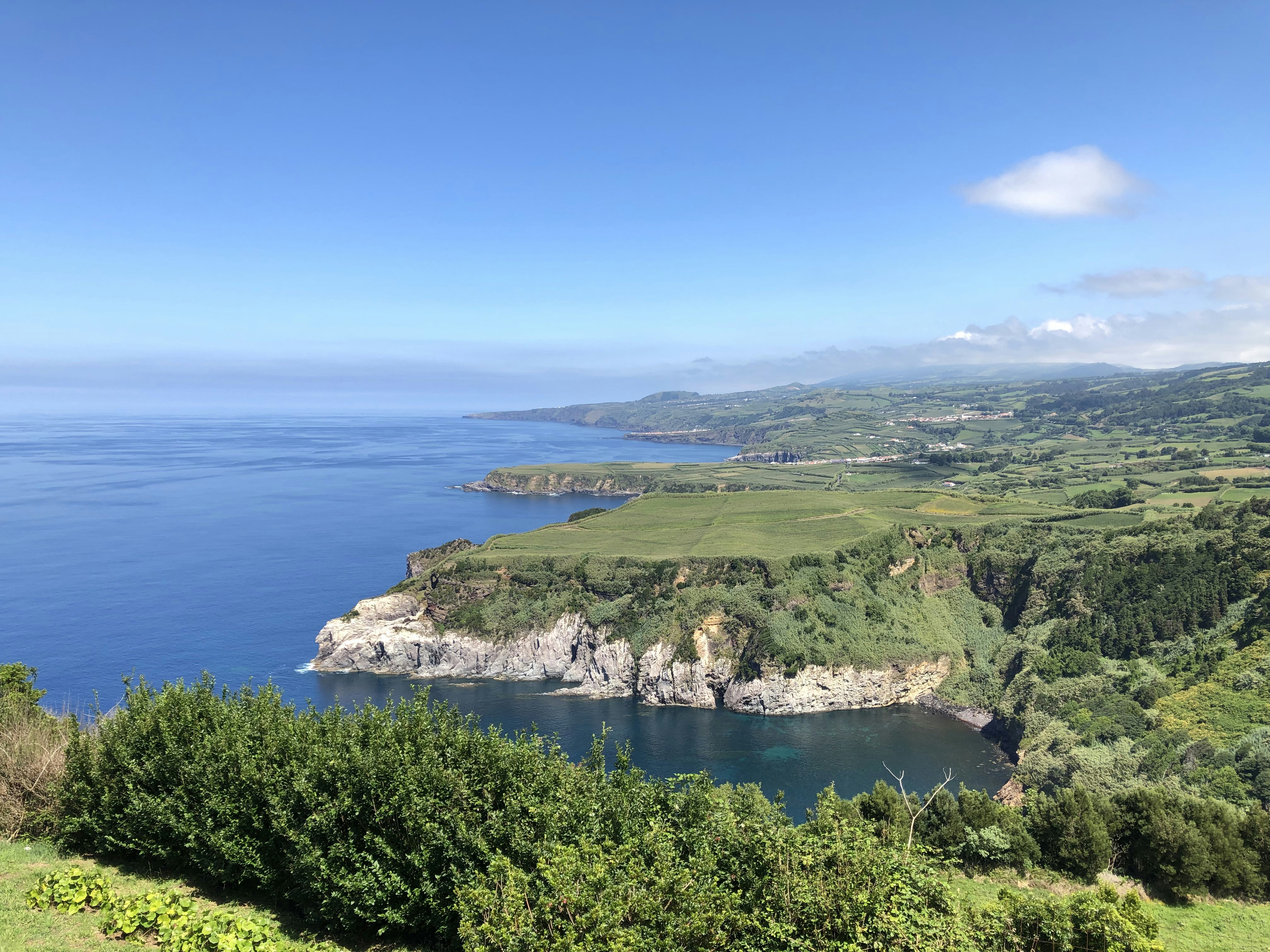 Cliffside view of lush green landscape meeting the deep blue ocean under a clear sky.