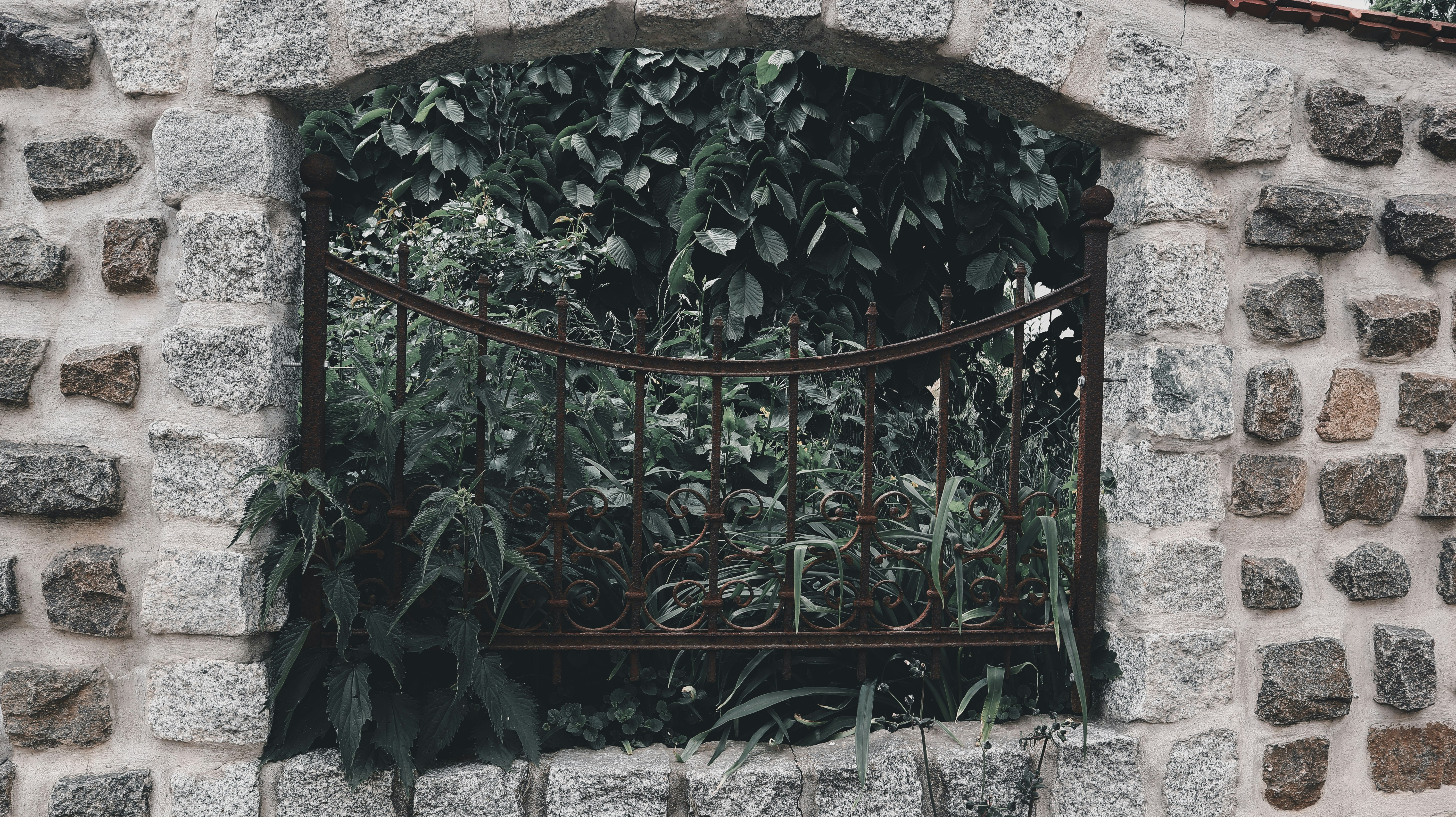 Ivy Veil Behind Iron Bars: A Quiet Window in Weathered Stone