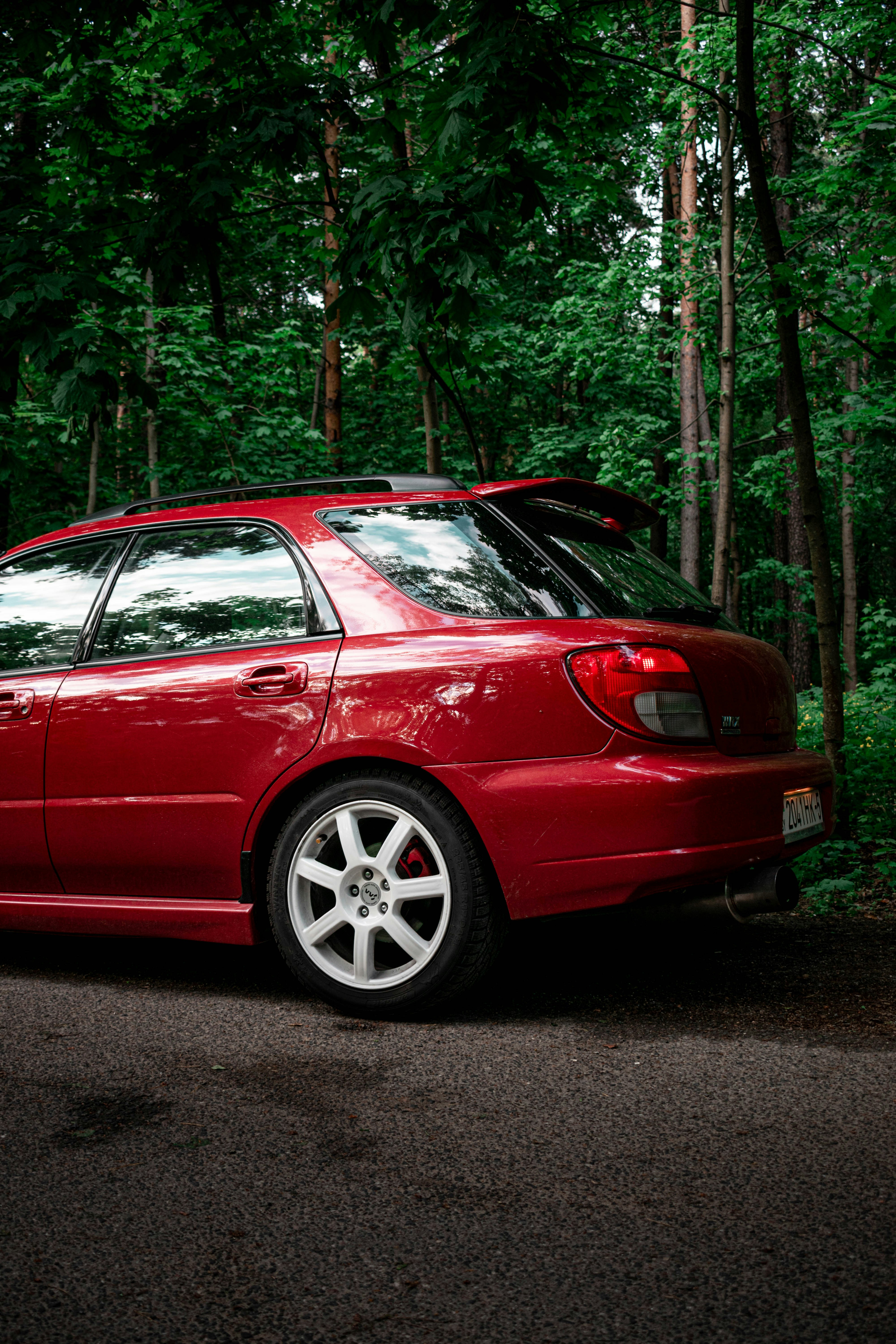 Red Hatchback Resting Under a Canopy of Green