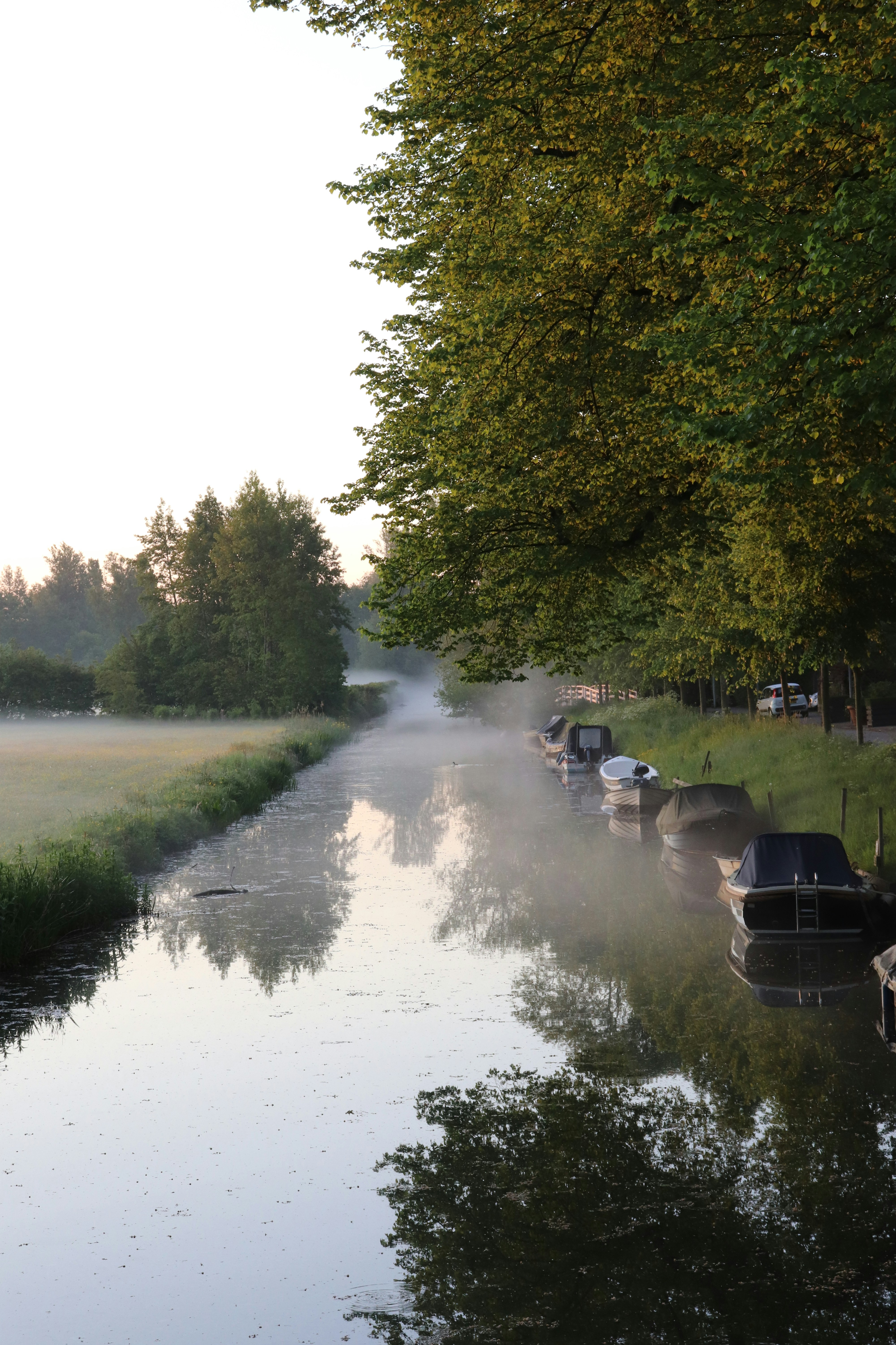 Fog over a Meandering Canal: Boats, Trees, and Quiet Reflections