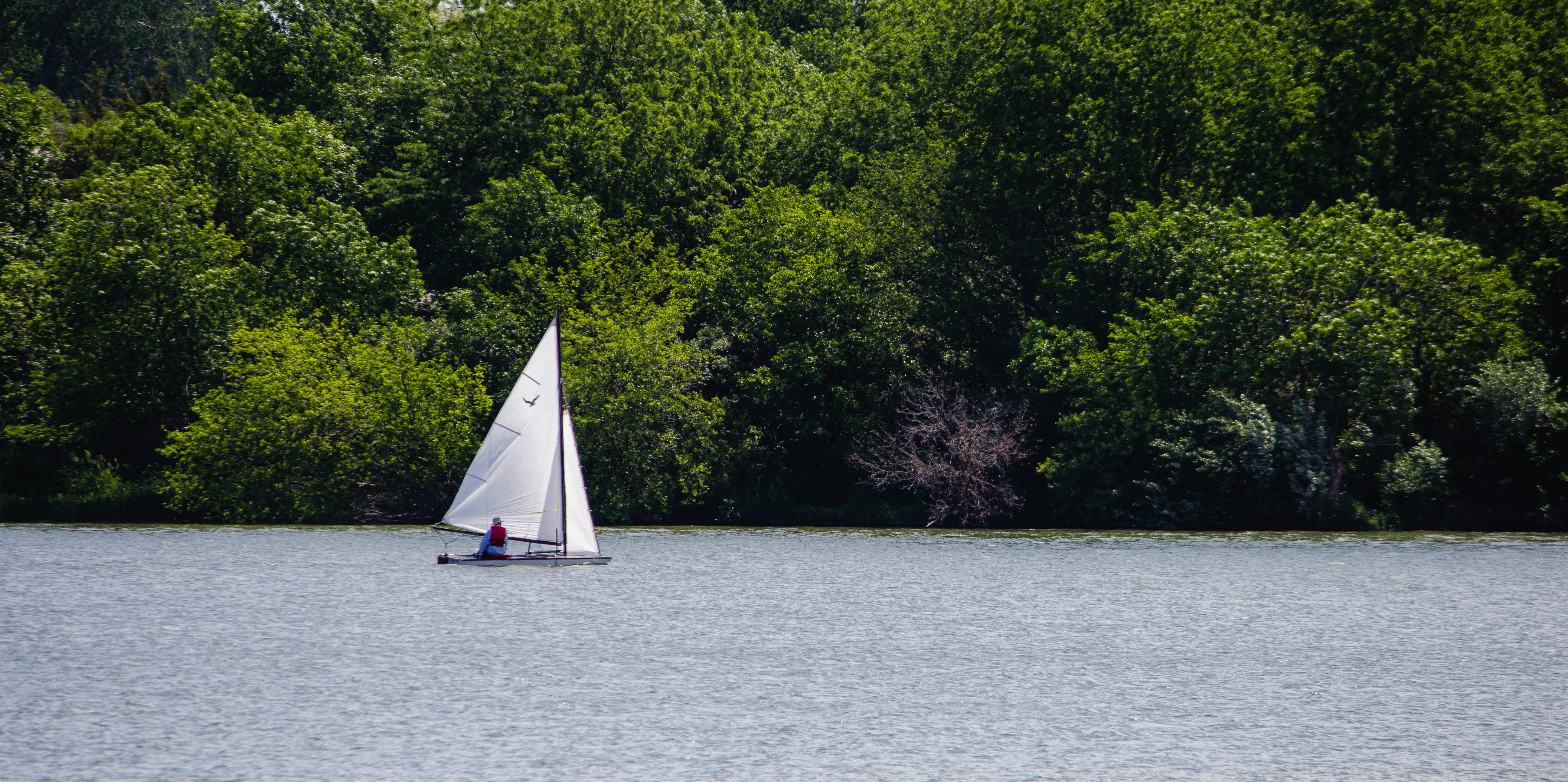 A solitary sailboat glides across a tranquil lake, framed by vibrant green trees under a clear sky.