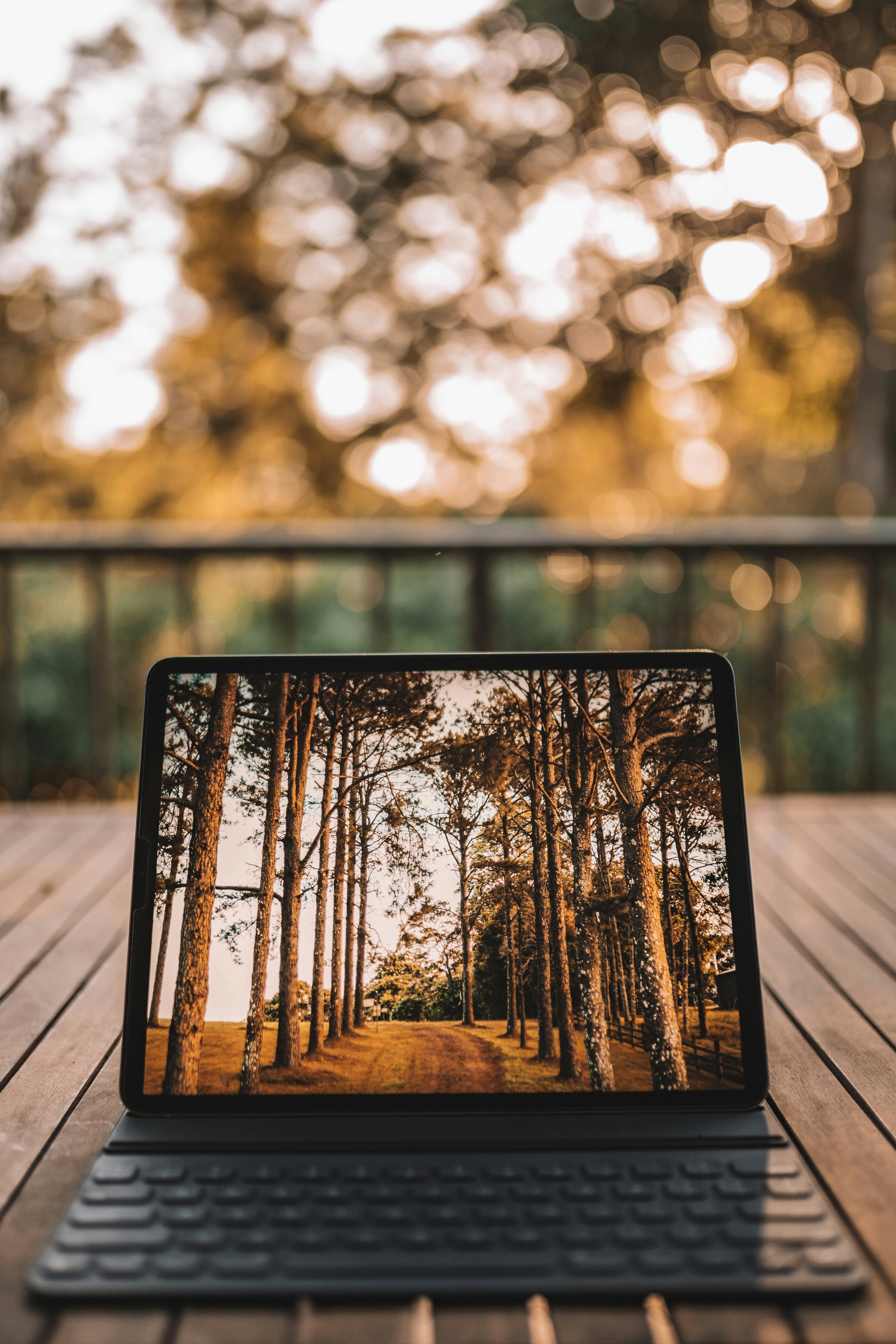 Tree-lined Path Reflected in a Tablet Screen