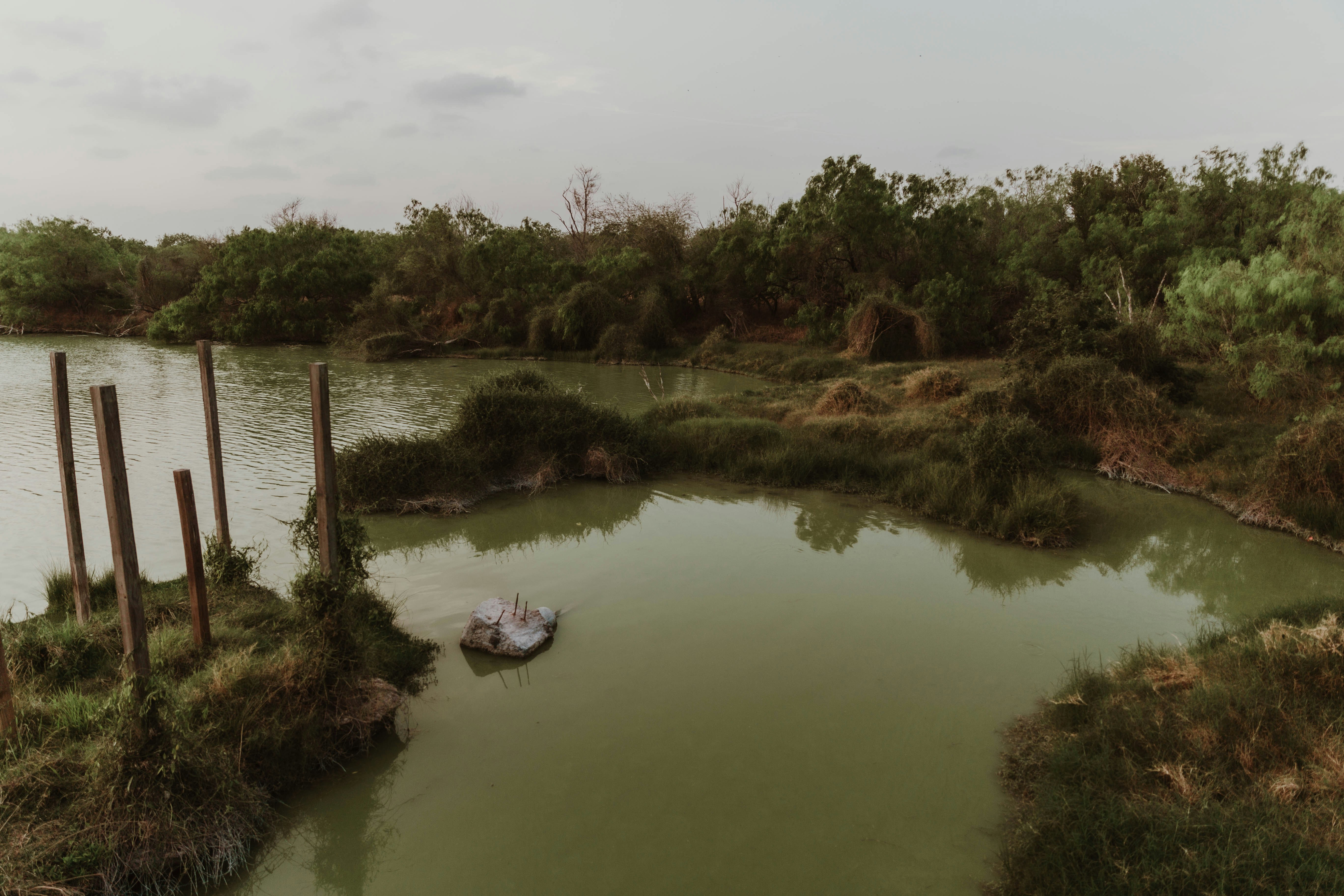 Green pool of still water tucked among scruffy marshland