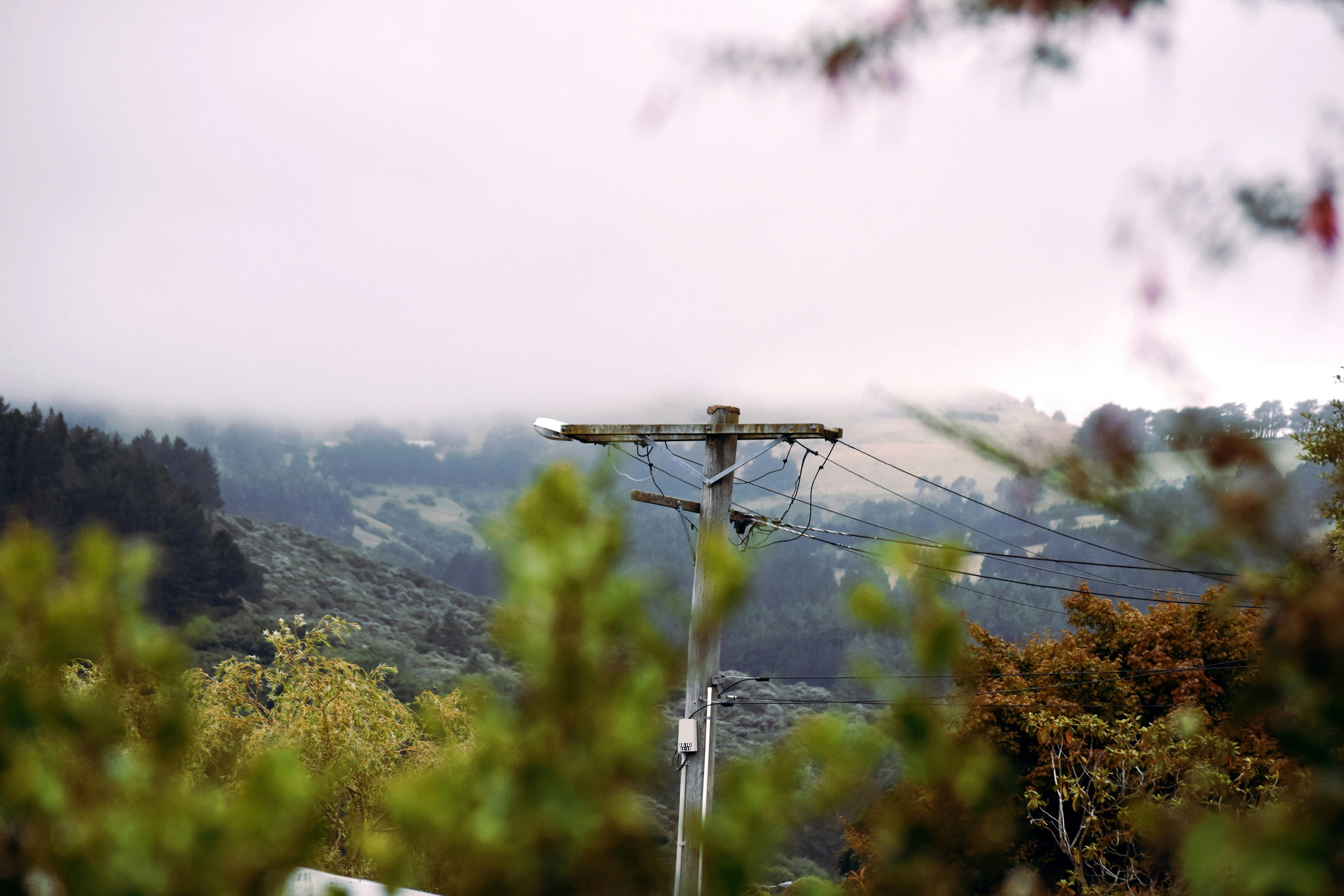 Pole in the Mist: Autumn Ridge Under Fog