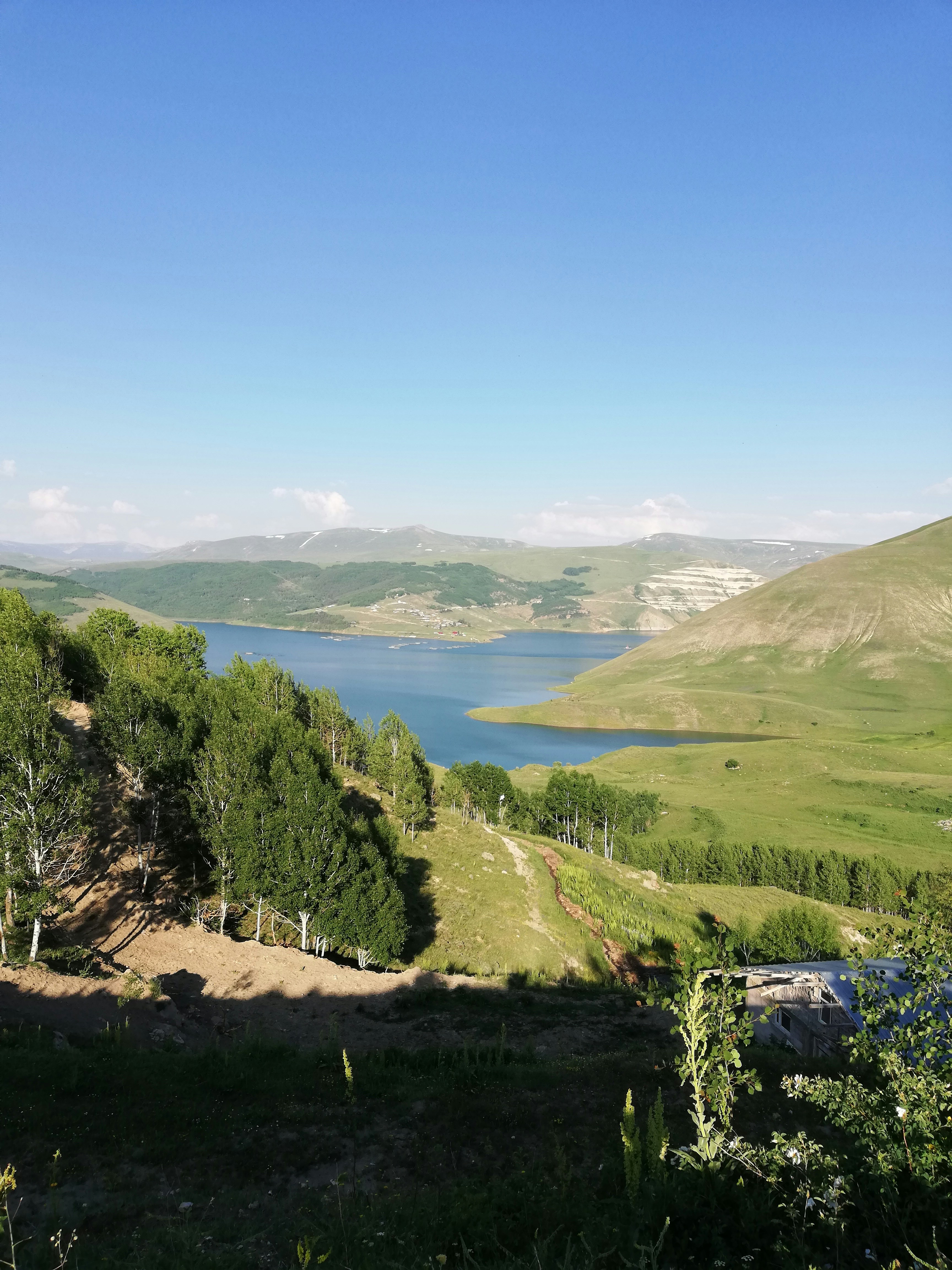 green trees on mountain under blue sky during daytime