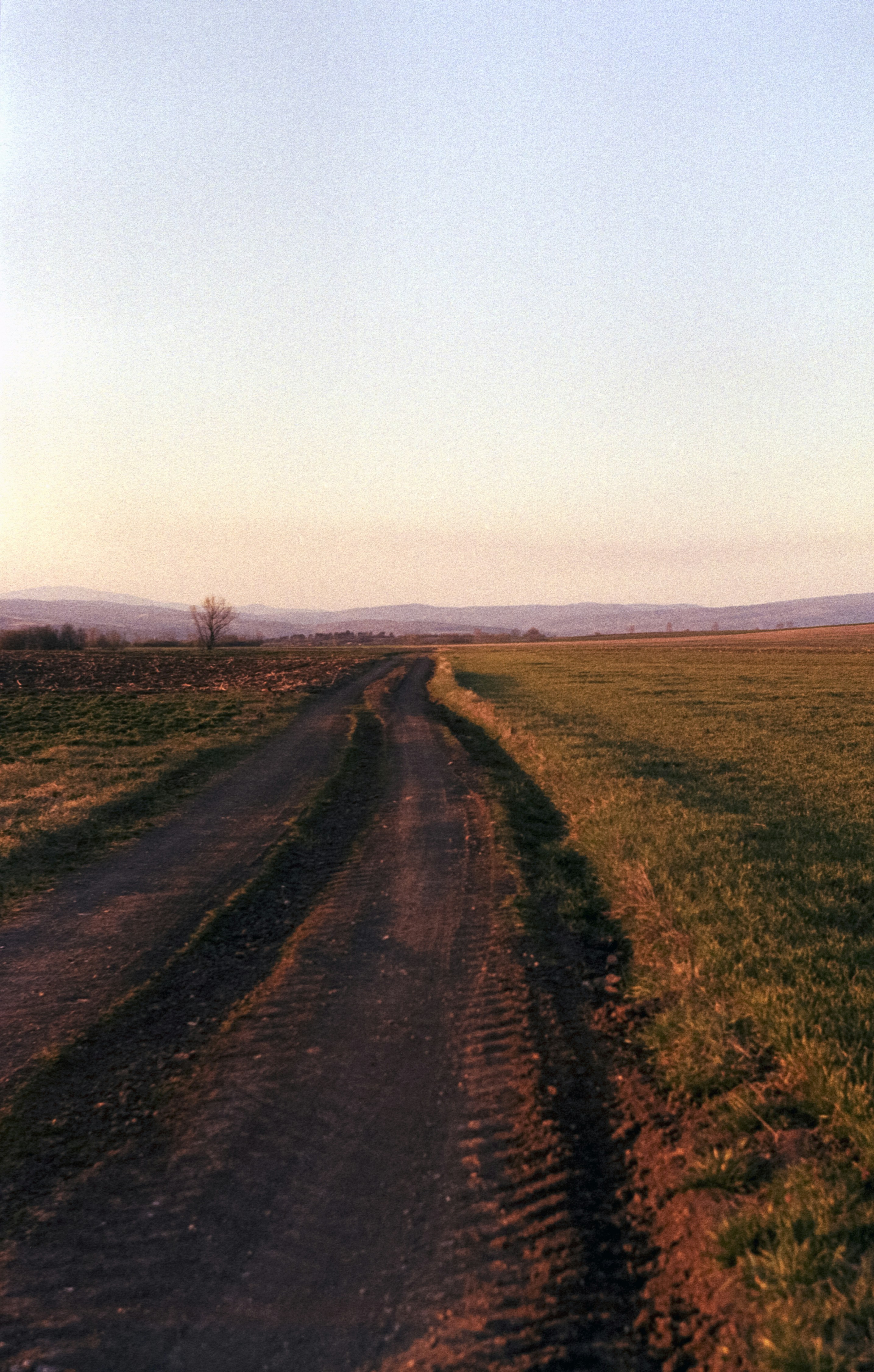 Dusty road meandering through expansive green fields under a soft pastel sky during twilight.