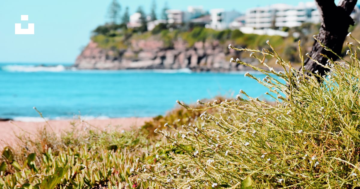 Green Grass Near Body Of Water During Daytime Photo Free Shoreline