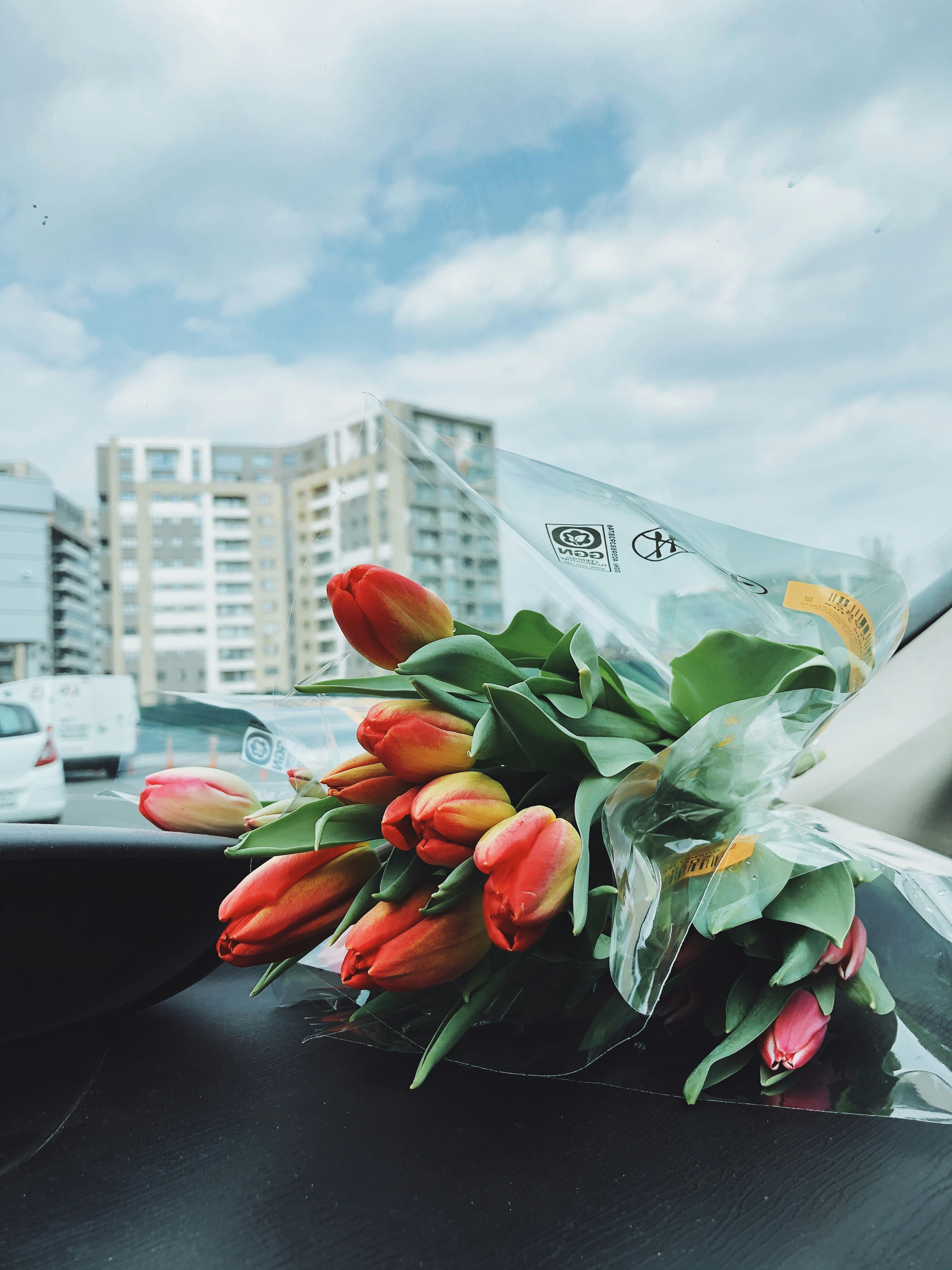 red tulips on the street