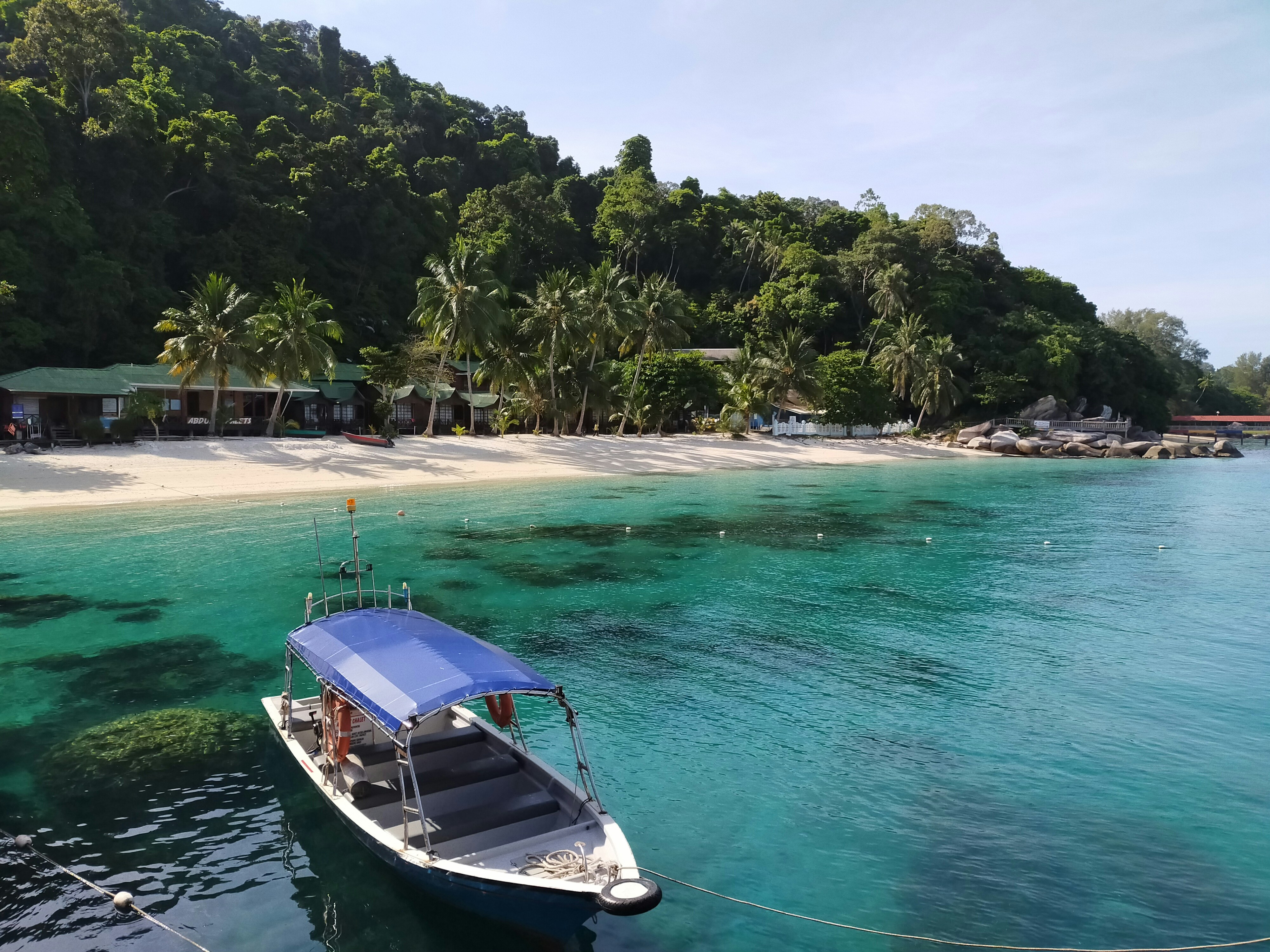 White and blue boat anchored in clear turquoise sea near a lush green island.