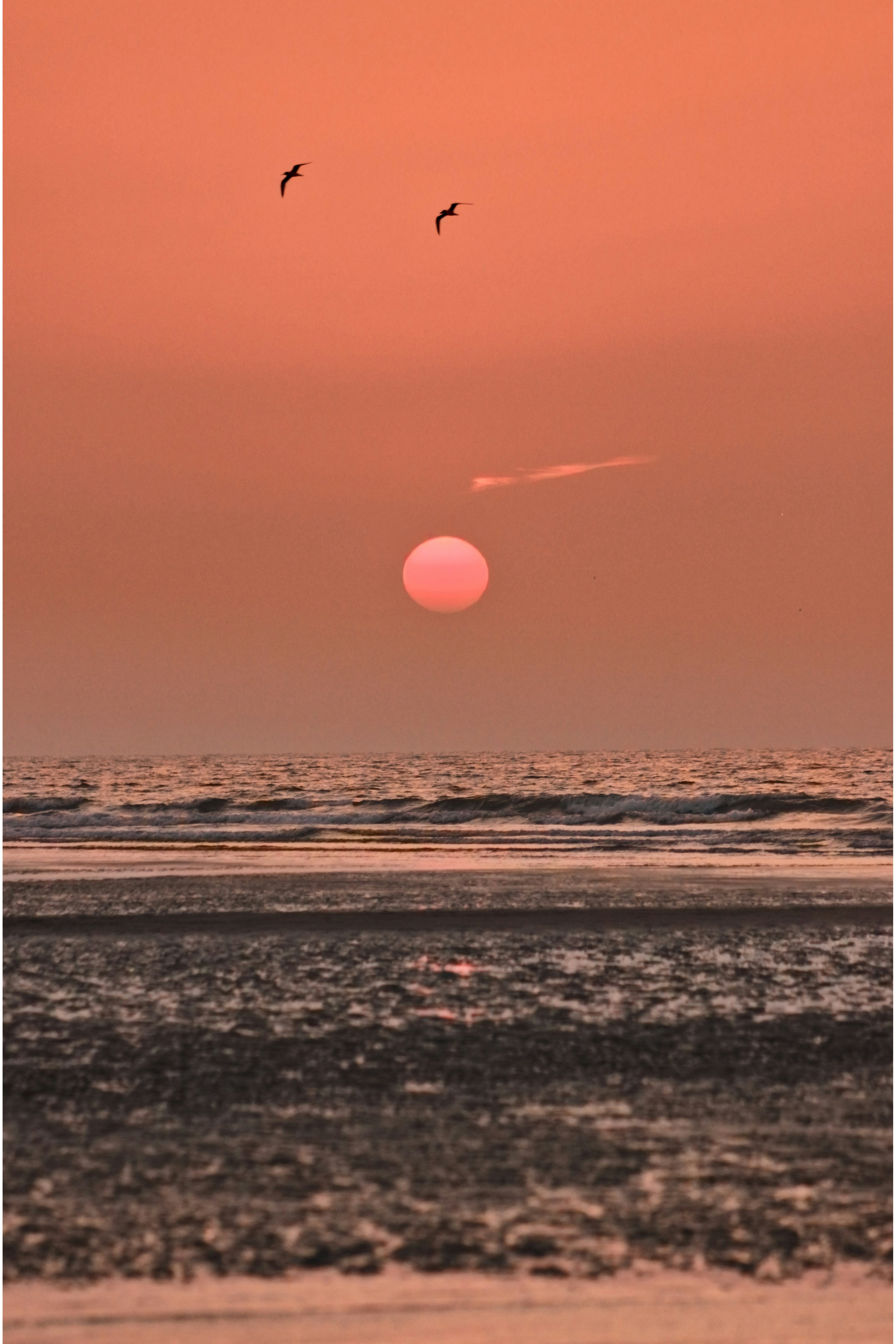 MY WORLD | 10 best free grey, outdoor, sunset and neighborhood photos ...