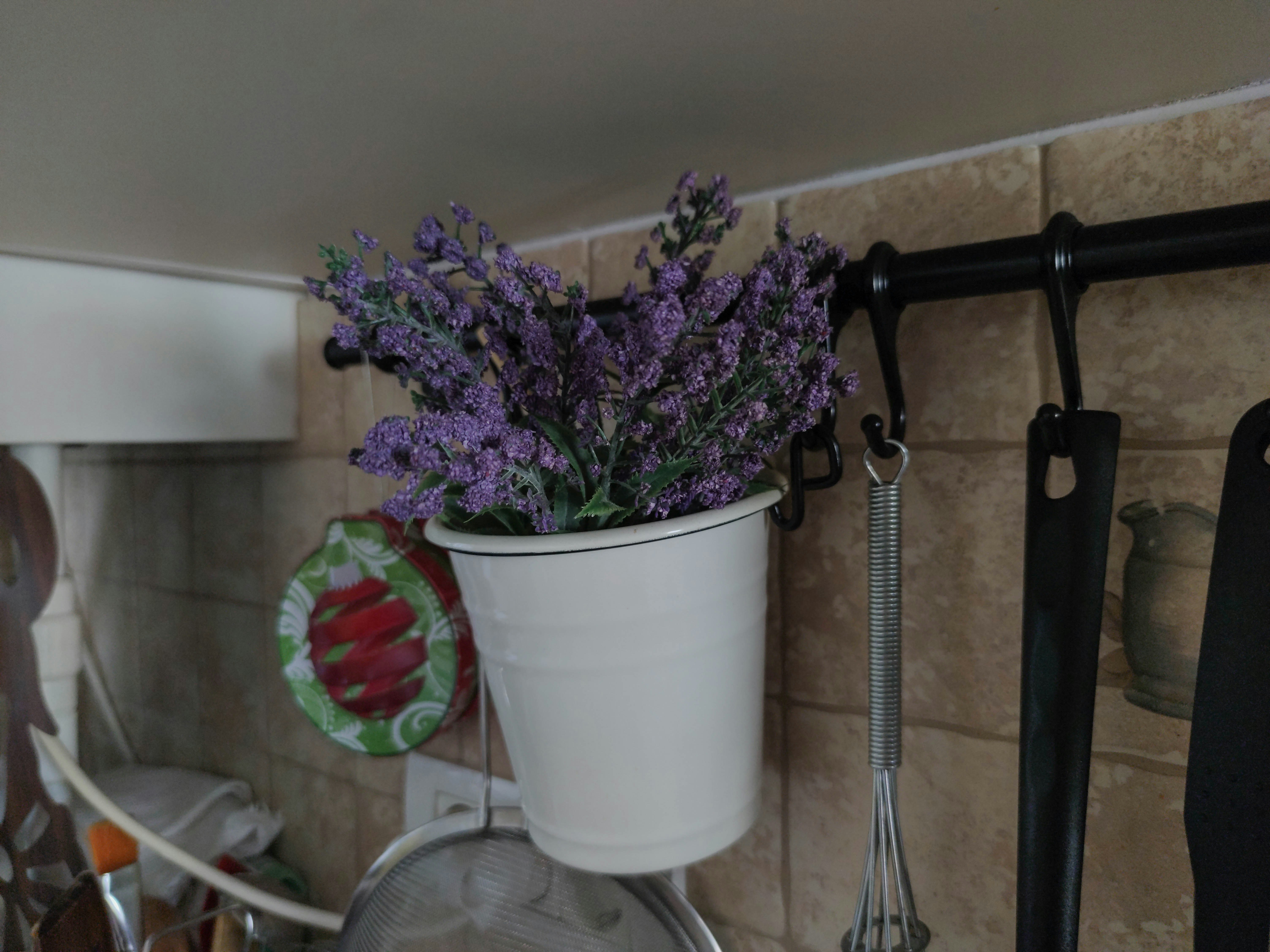 Lavender flowers in a white pot hanging on a kitchen wall, surrounded by kitchen utensils and decor.