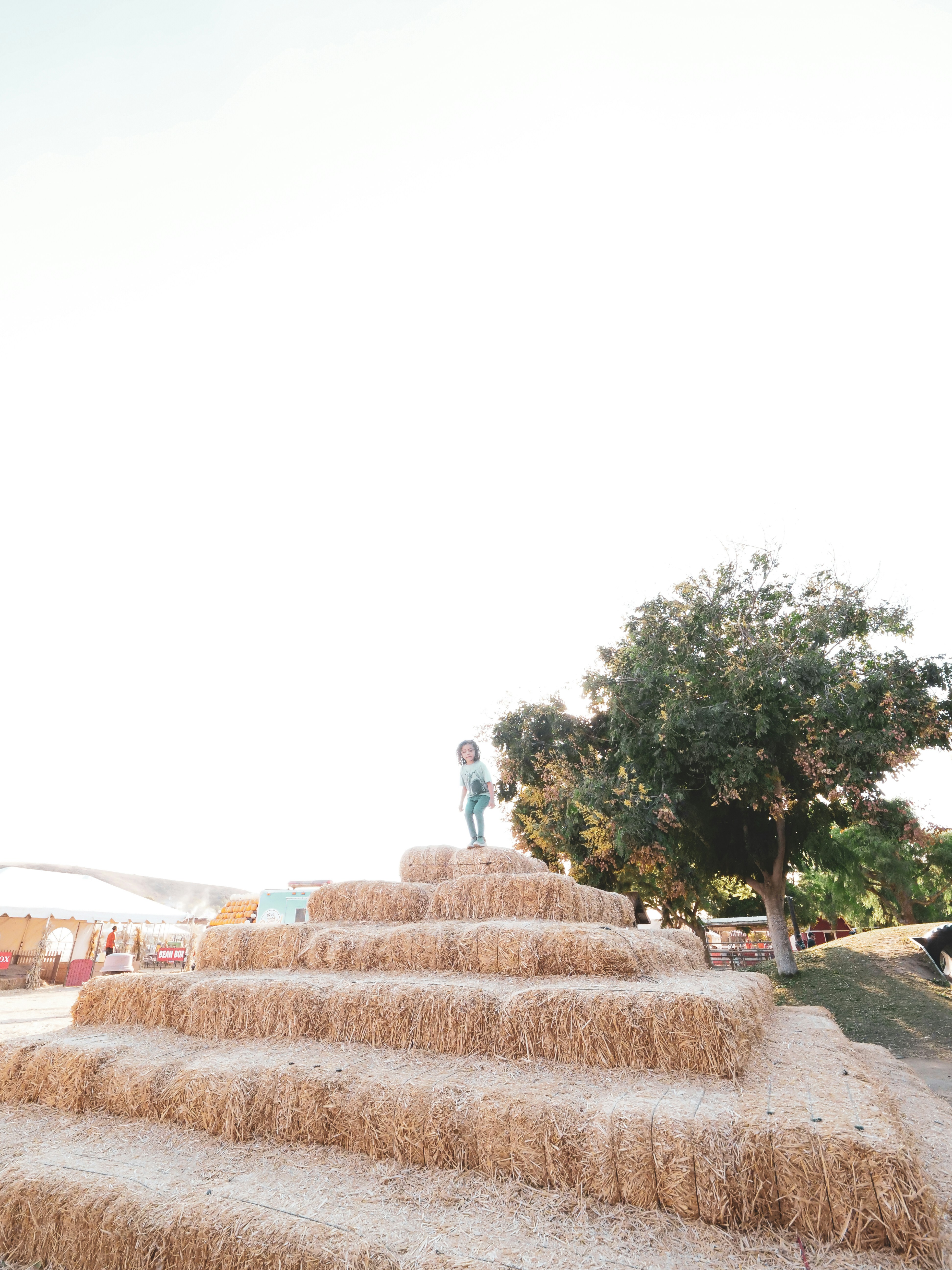 Gus Ruballo (@gusruballo) | Unsplash Photo Community