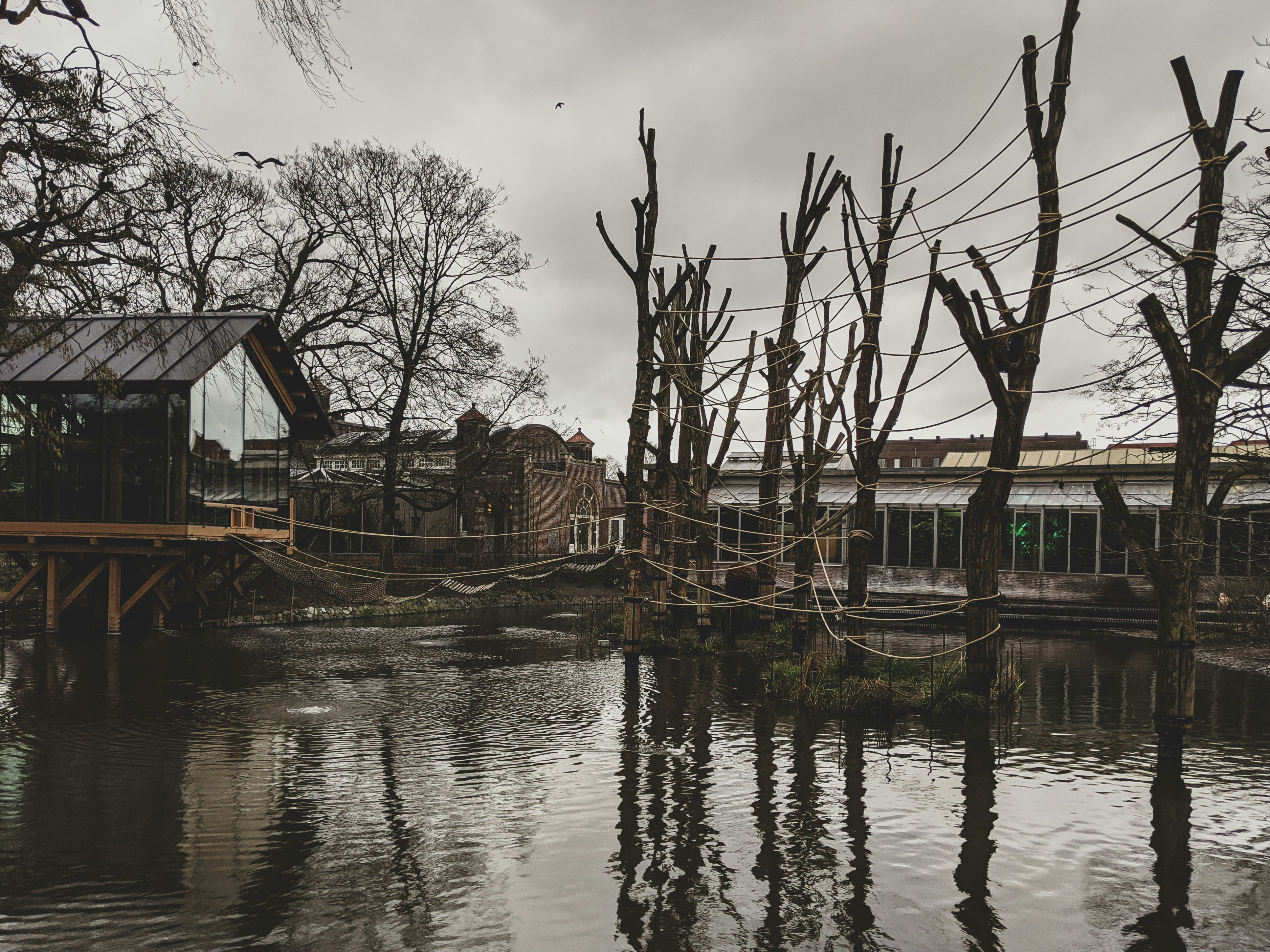 Brown wooden house beside body of water during daytime photo – Free ...
