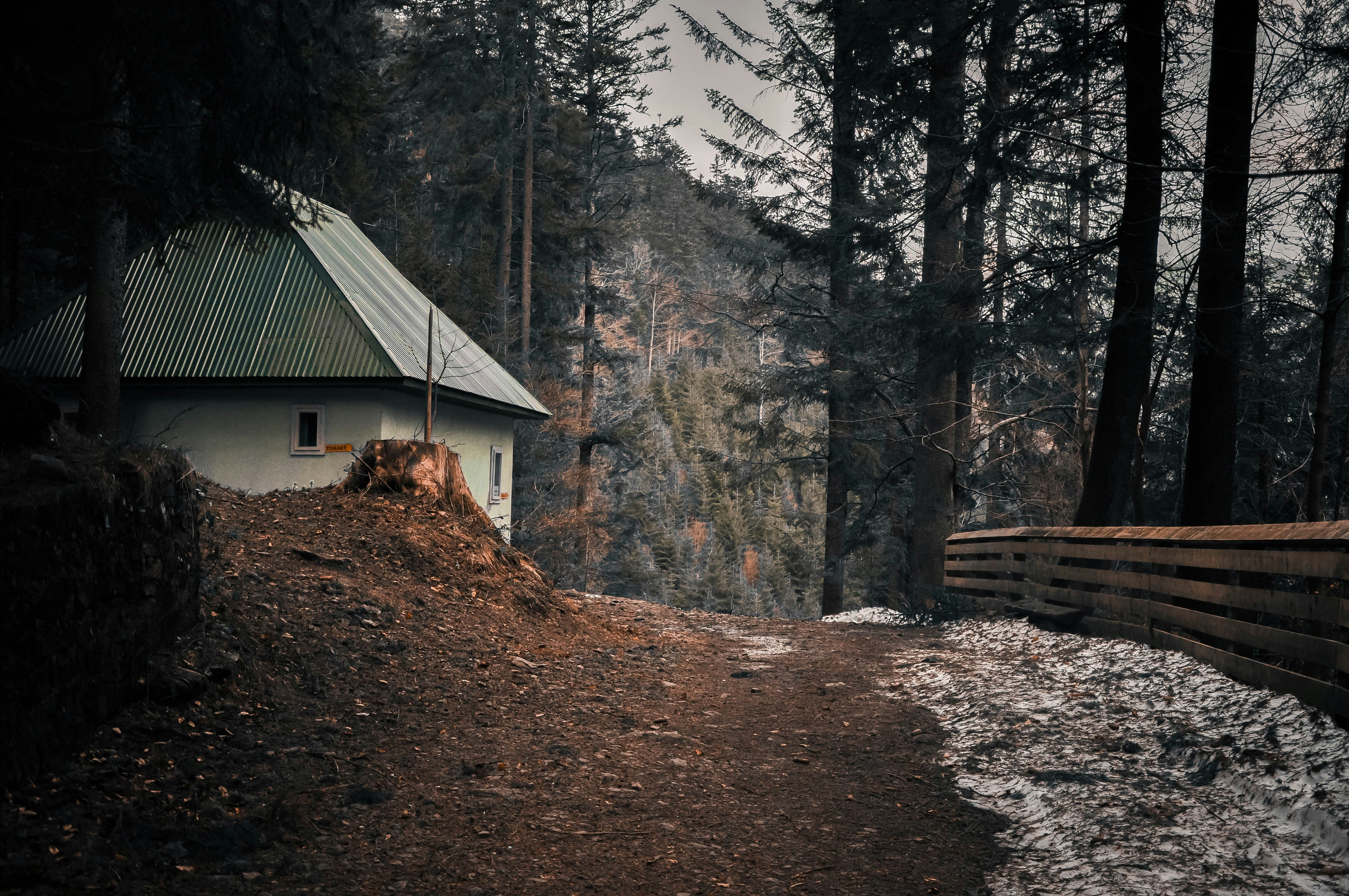 A secluded forest path reveals a quaint cabin nestled among tall trees, hinting at tranquil solitude. Snow-dusted ground contrasts with the earthy tones of the surroundings.