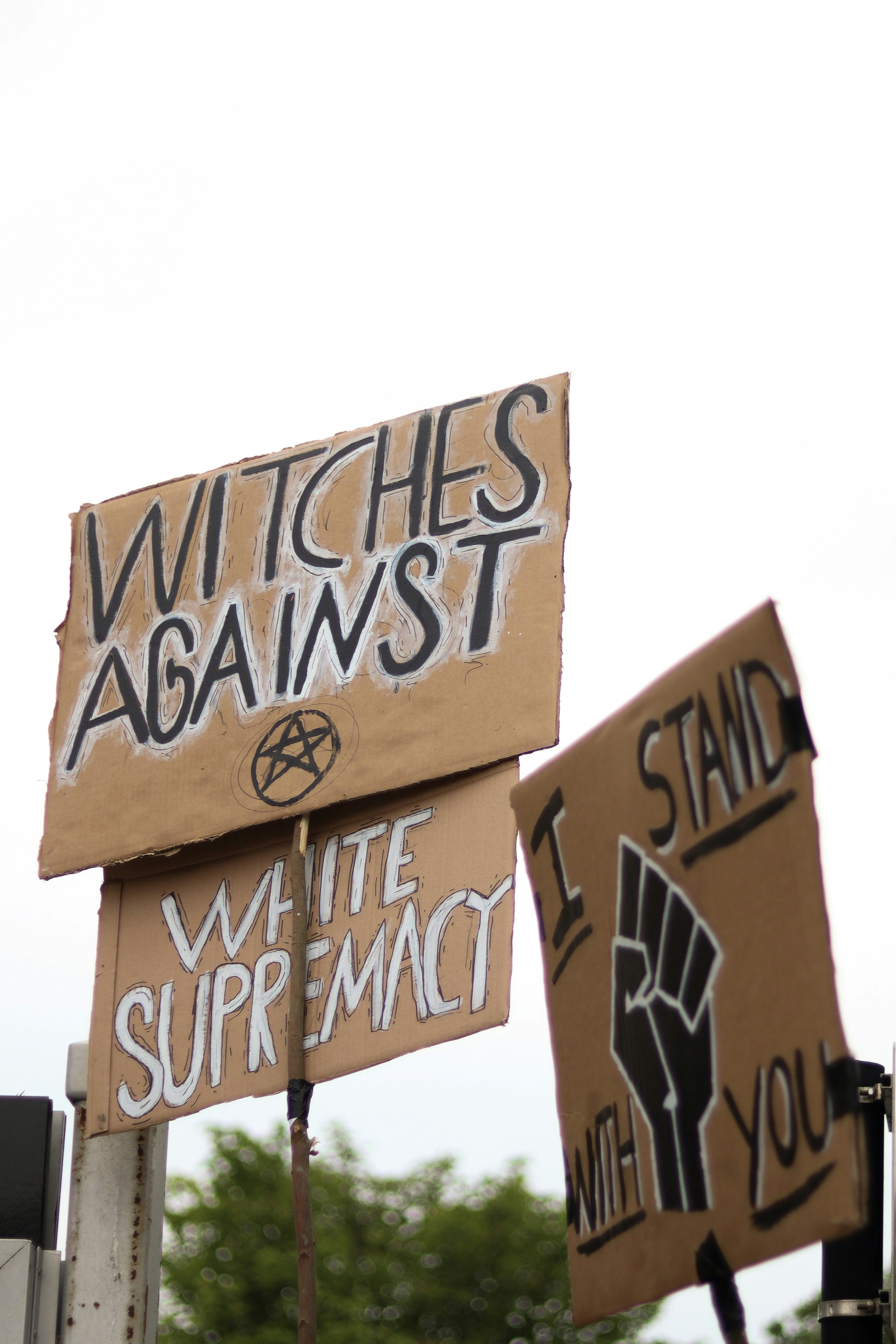 Wicked Walls of Protest: Signs Rising Above a Quiet Street