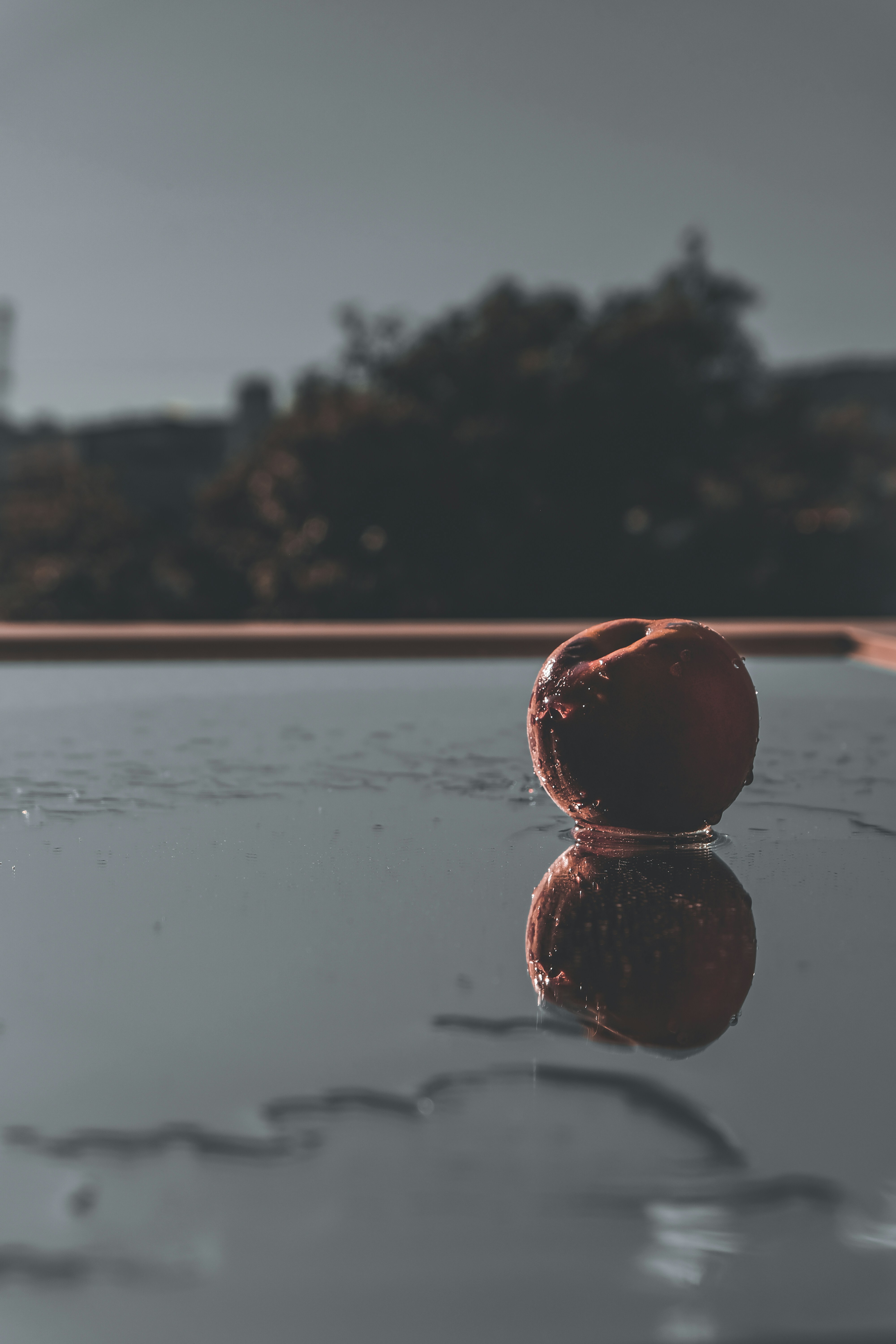 Red Apple on a Quiet Mirror