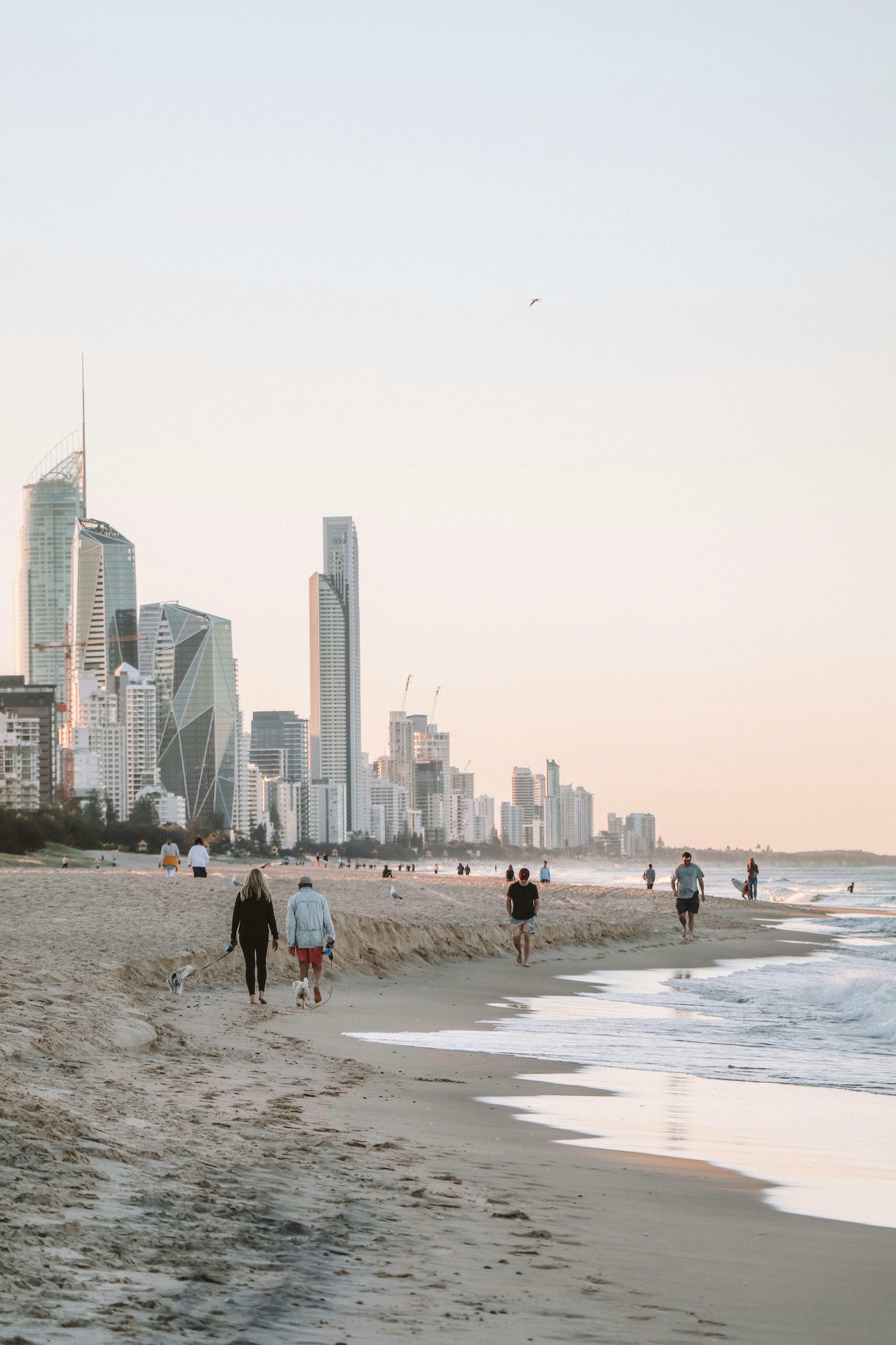 People walking on beach during daytime photo – Free Beach Image on Unsplash