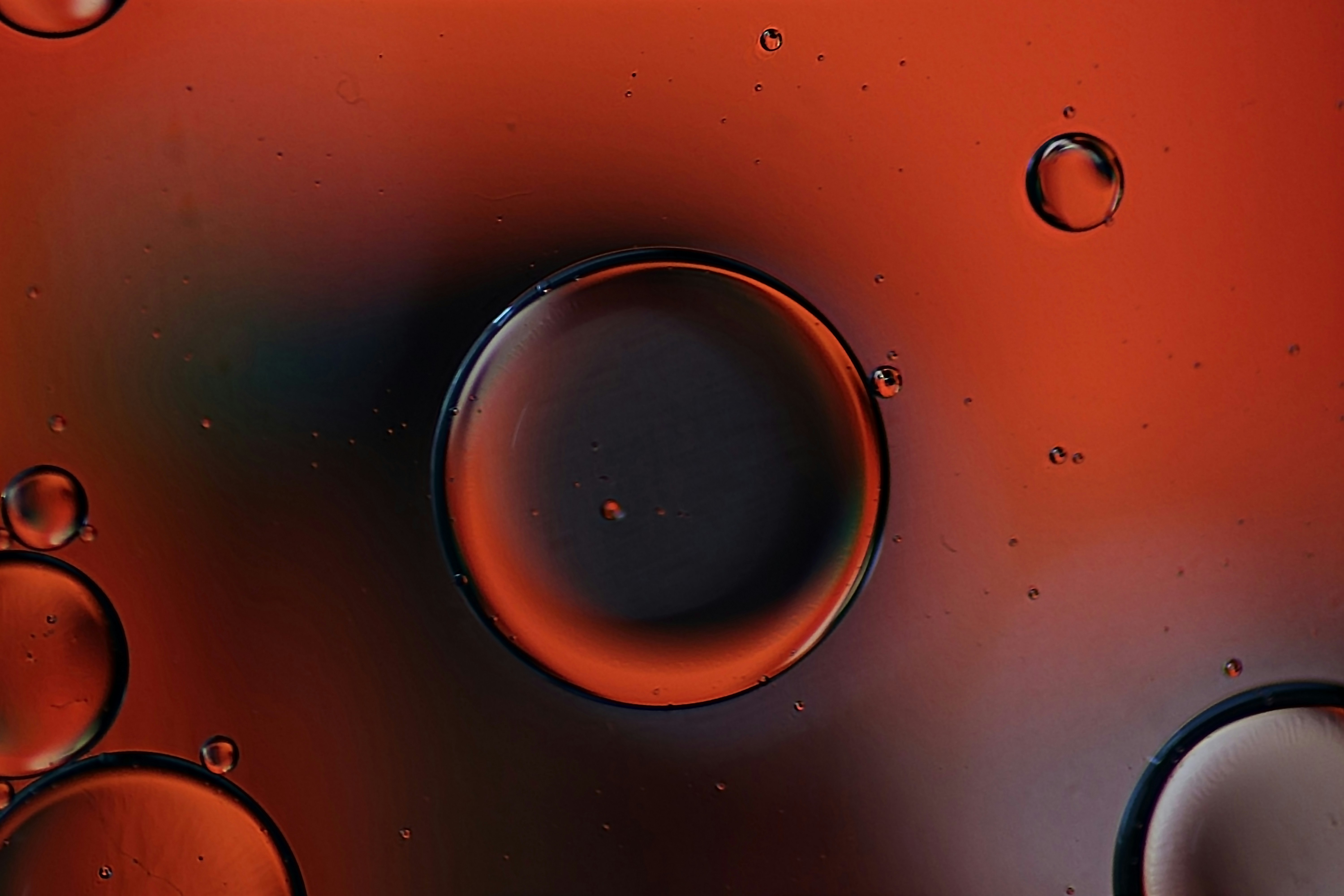 Dippyaman Nath (@createwithdippyaman) | Comunidad de fotos de Unsplash