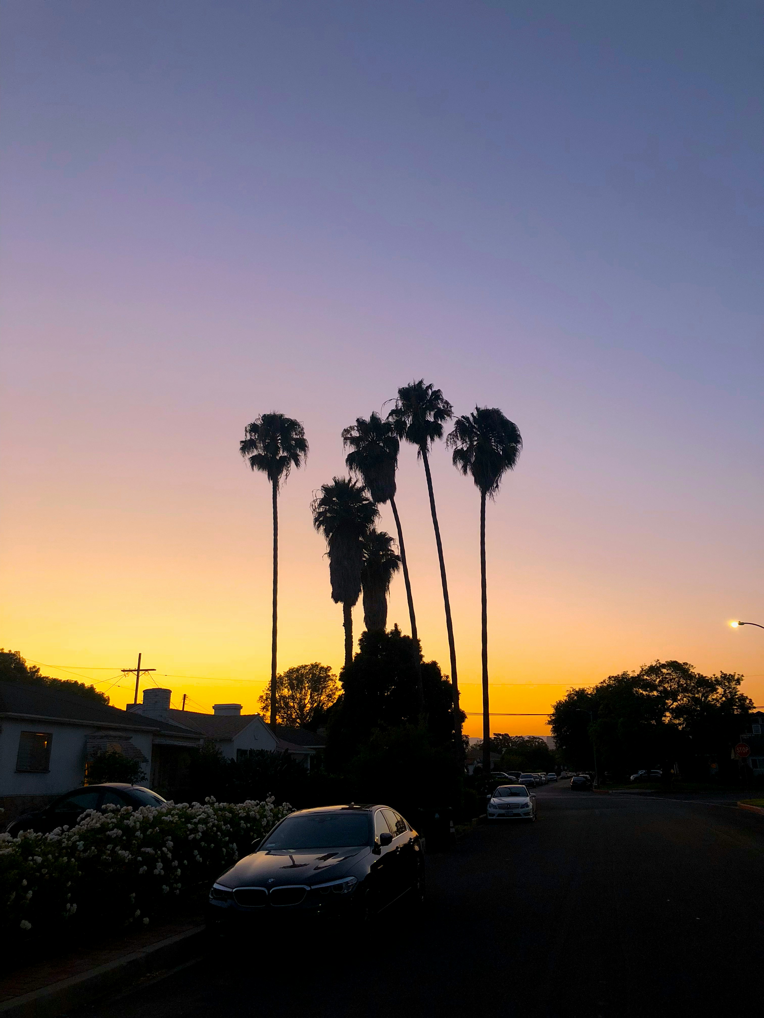 Mat Weller (@matweller) | Unsplash Photo Community