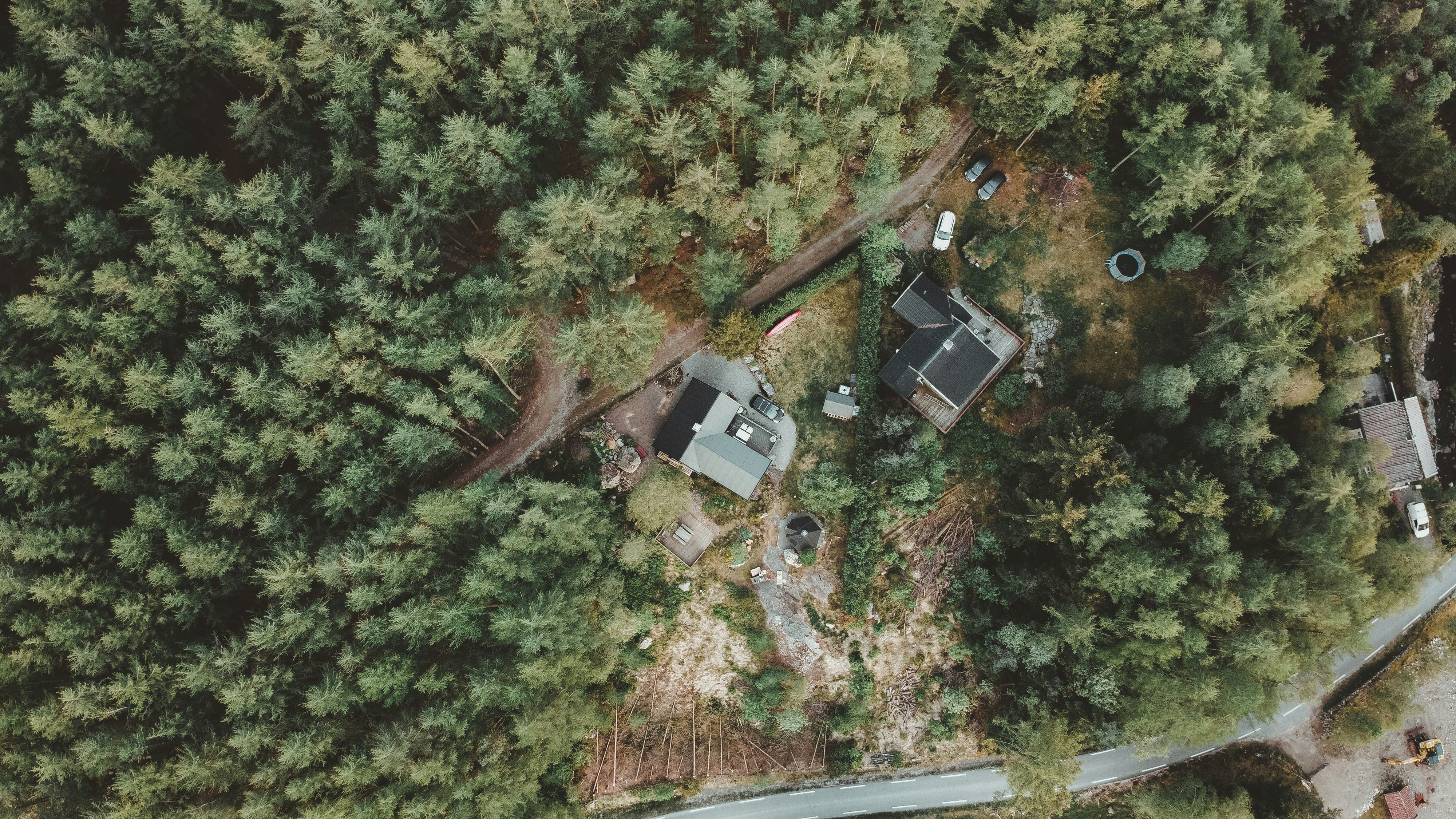 Aerial view of a secluded house surrounded by dense forest, showcasing the harmony between nature and human habitation.