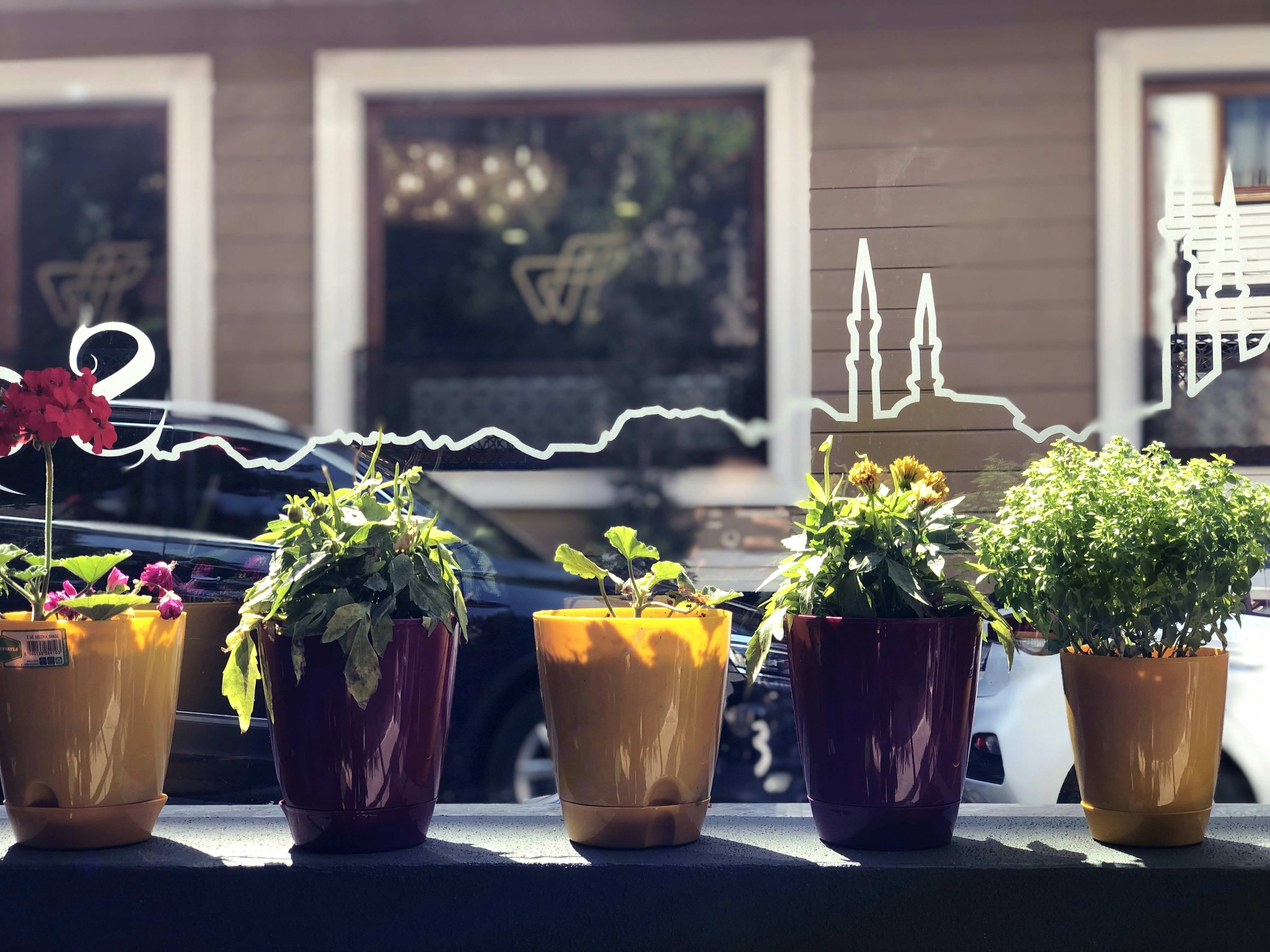 Colorful Pots in a Streetside Window Garden