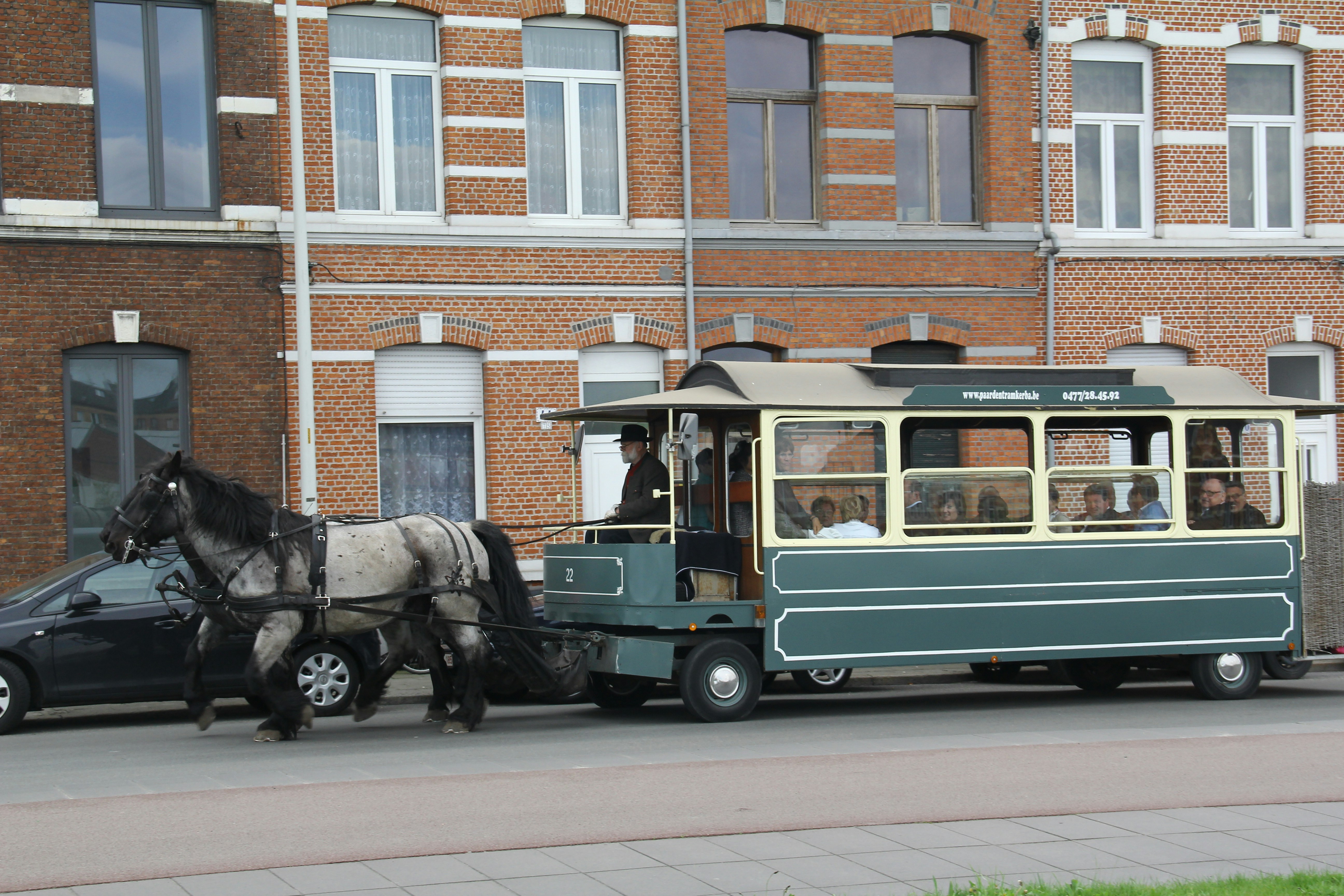 Horse-drawn tram parked on a street lined with historic brick buildings.