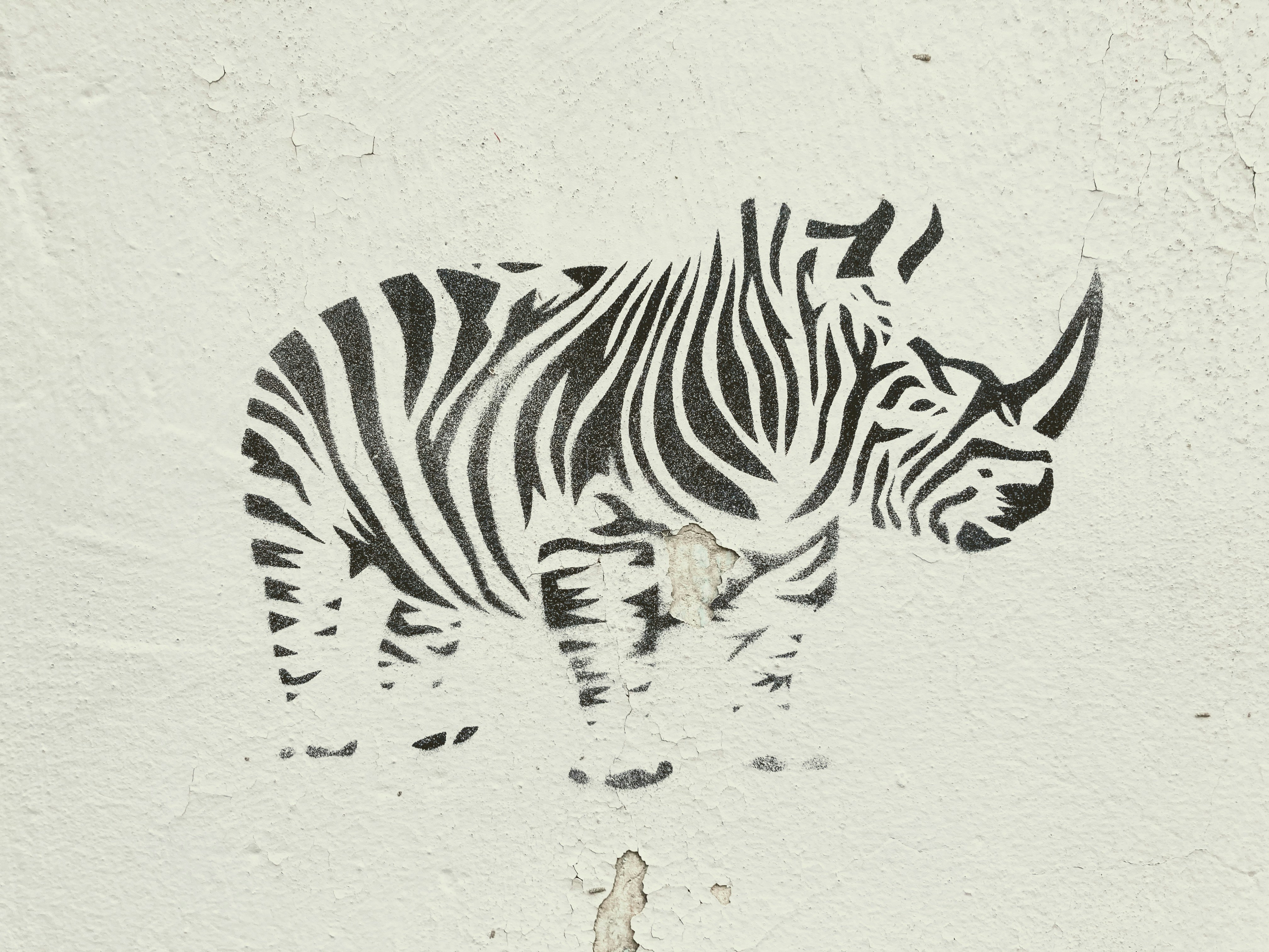 A striking stencil artwork of a rhinoceros adorned with zebra-like stripes against a textured white wall.