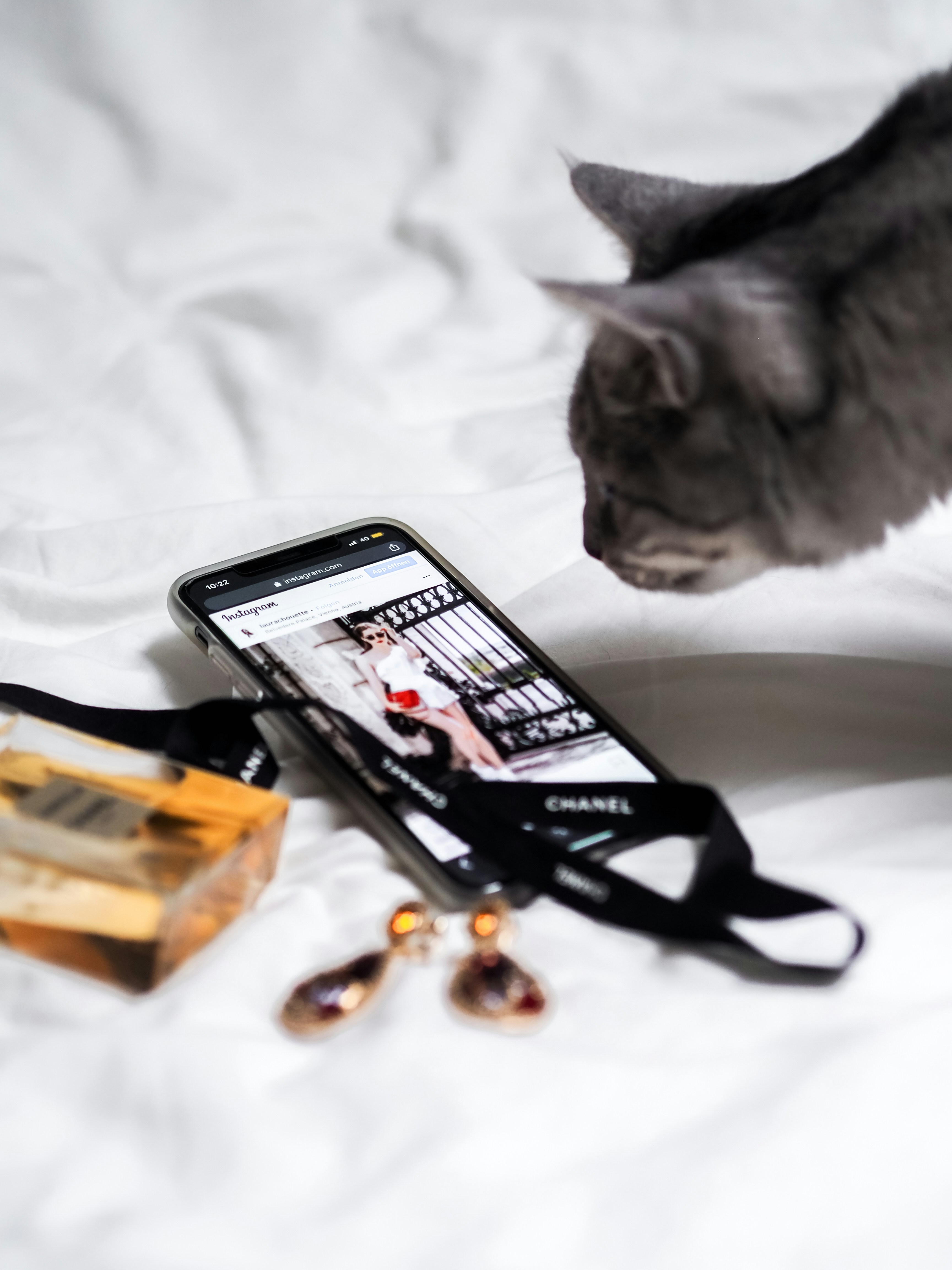 Whiskers, a Fashion Feed, and a Quiet Bedside Moment