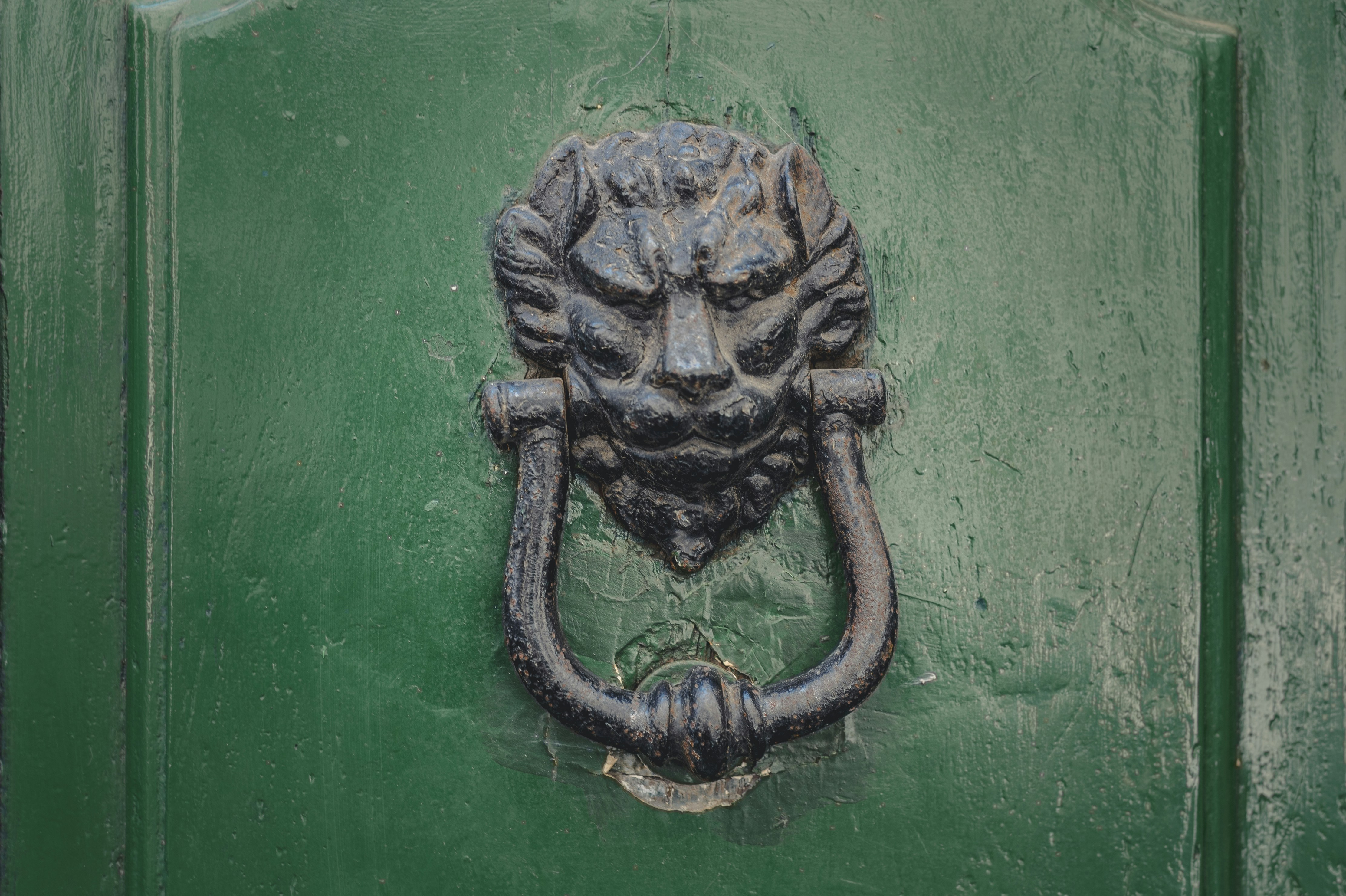 Lion’s Grasp on a Verdant Door
