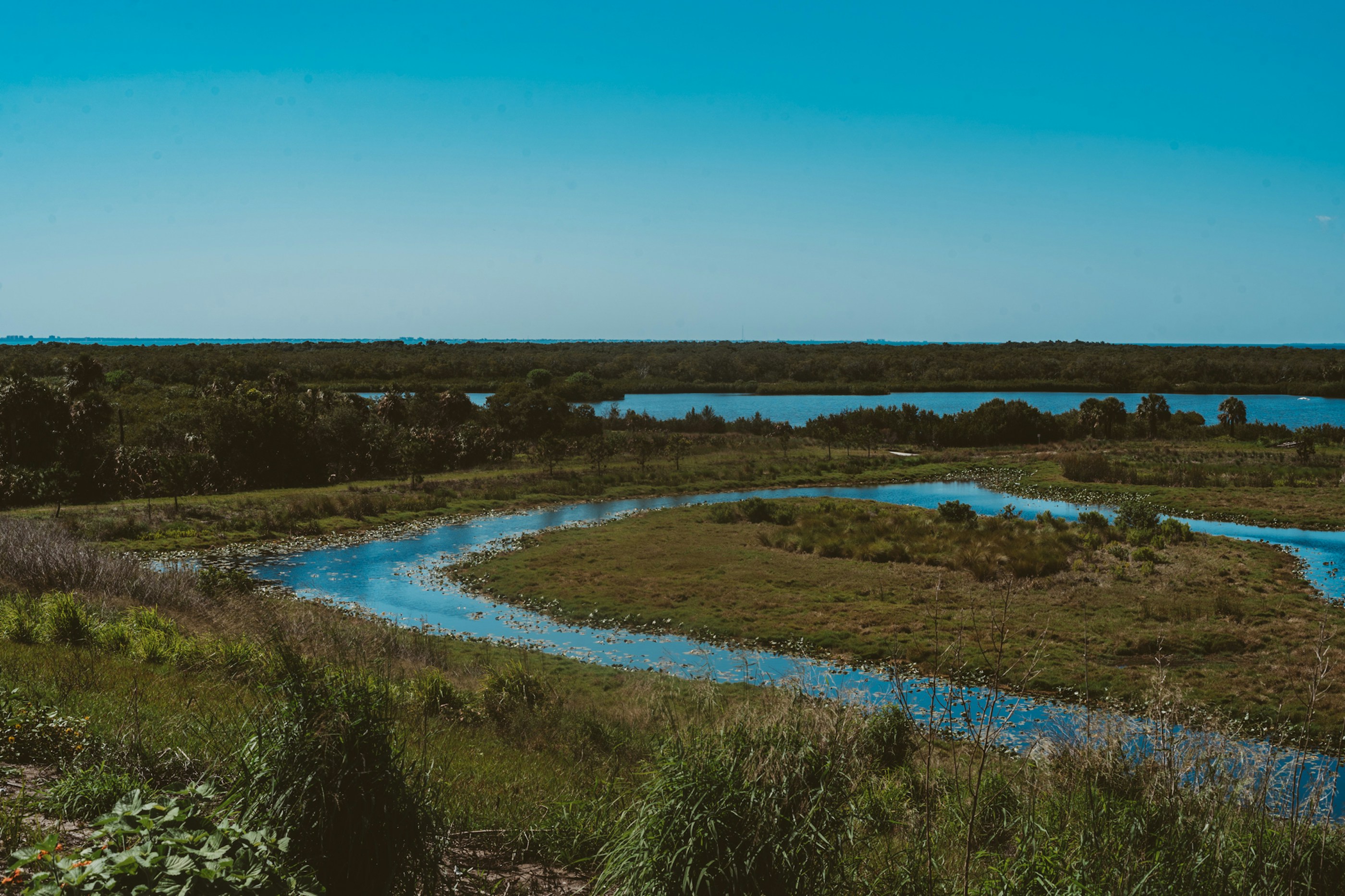 Winding river meanders through lush green landscapes under a clear blue sky, showcasing the harmony of nature. The scene captures the tranquility of a serene wetland ecosystem.